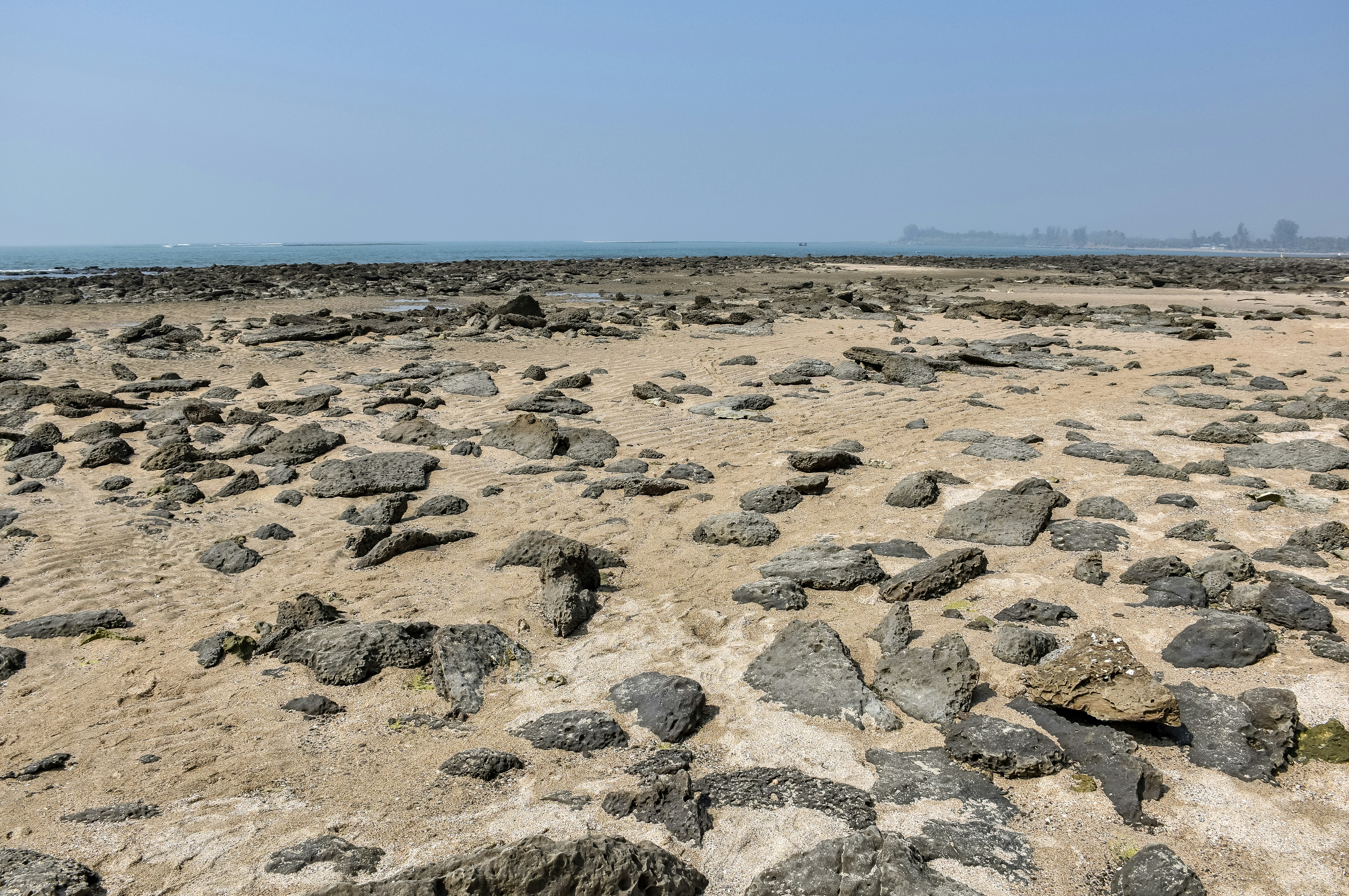 a sandy beach covered in lots of rocks
