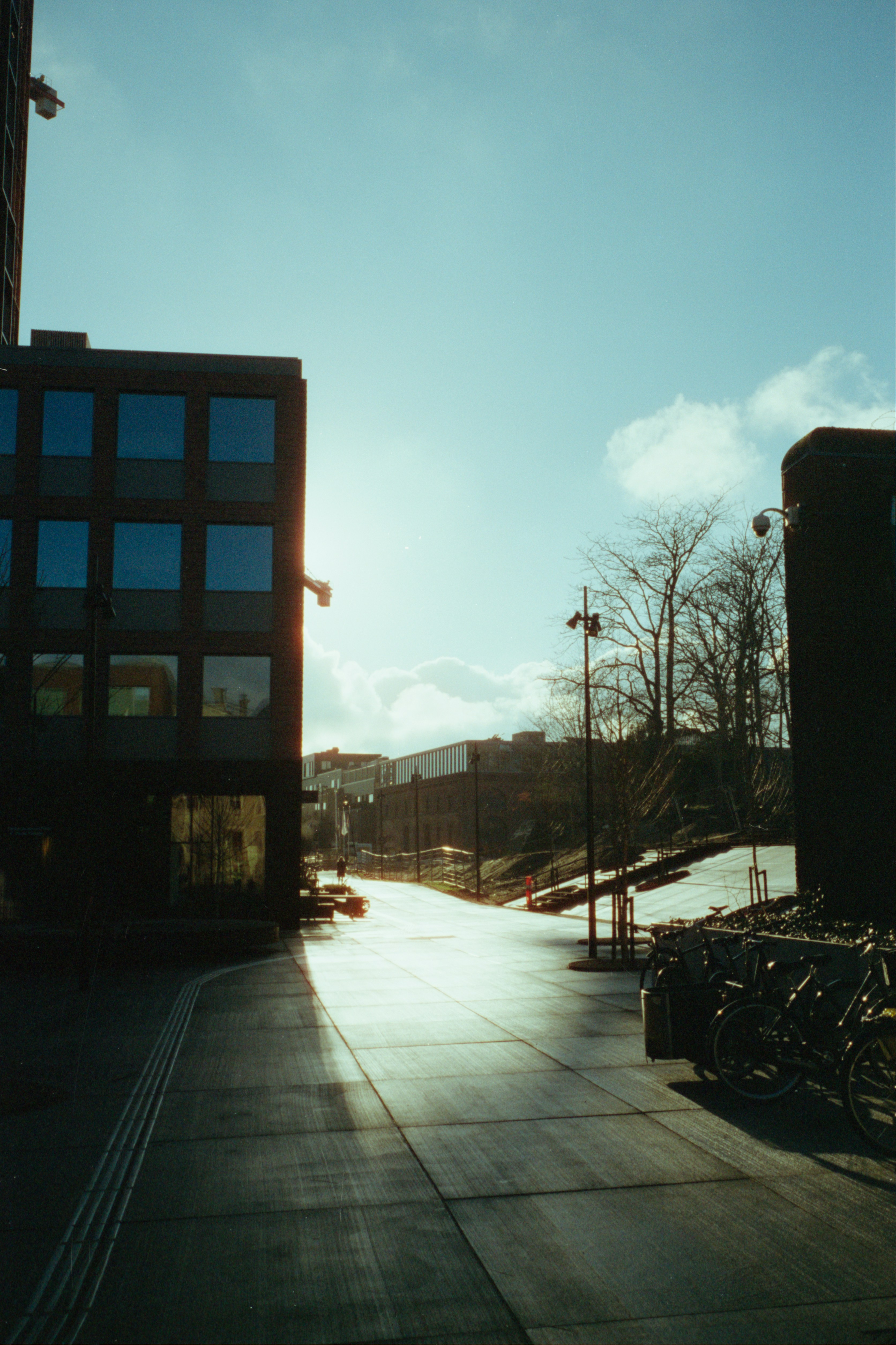 Sunlit Courtyard Stretch: A City Walk After Snow