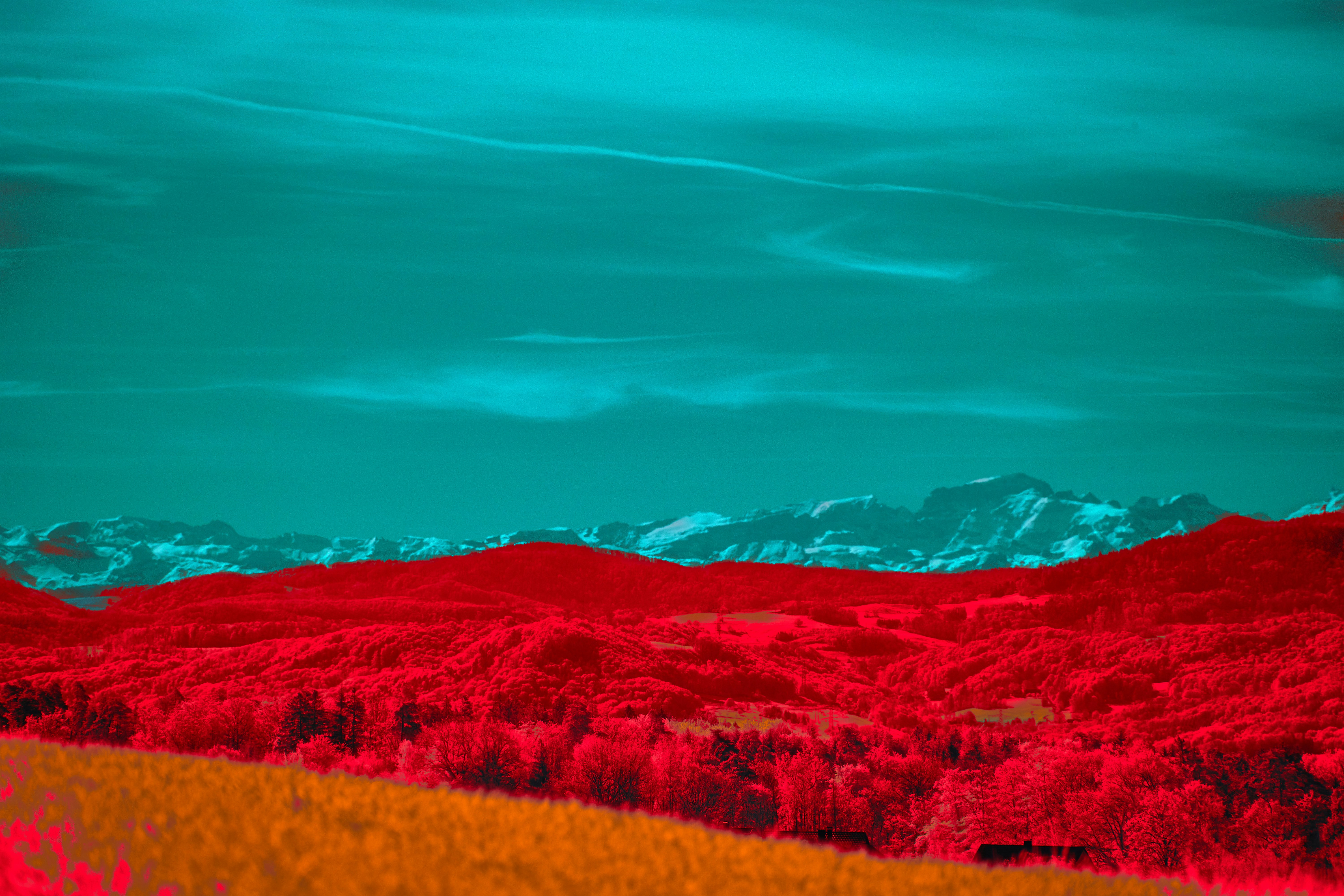 Infra Red Pictures | Download Free Images on Unsplash
