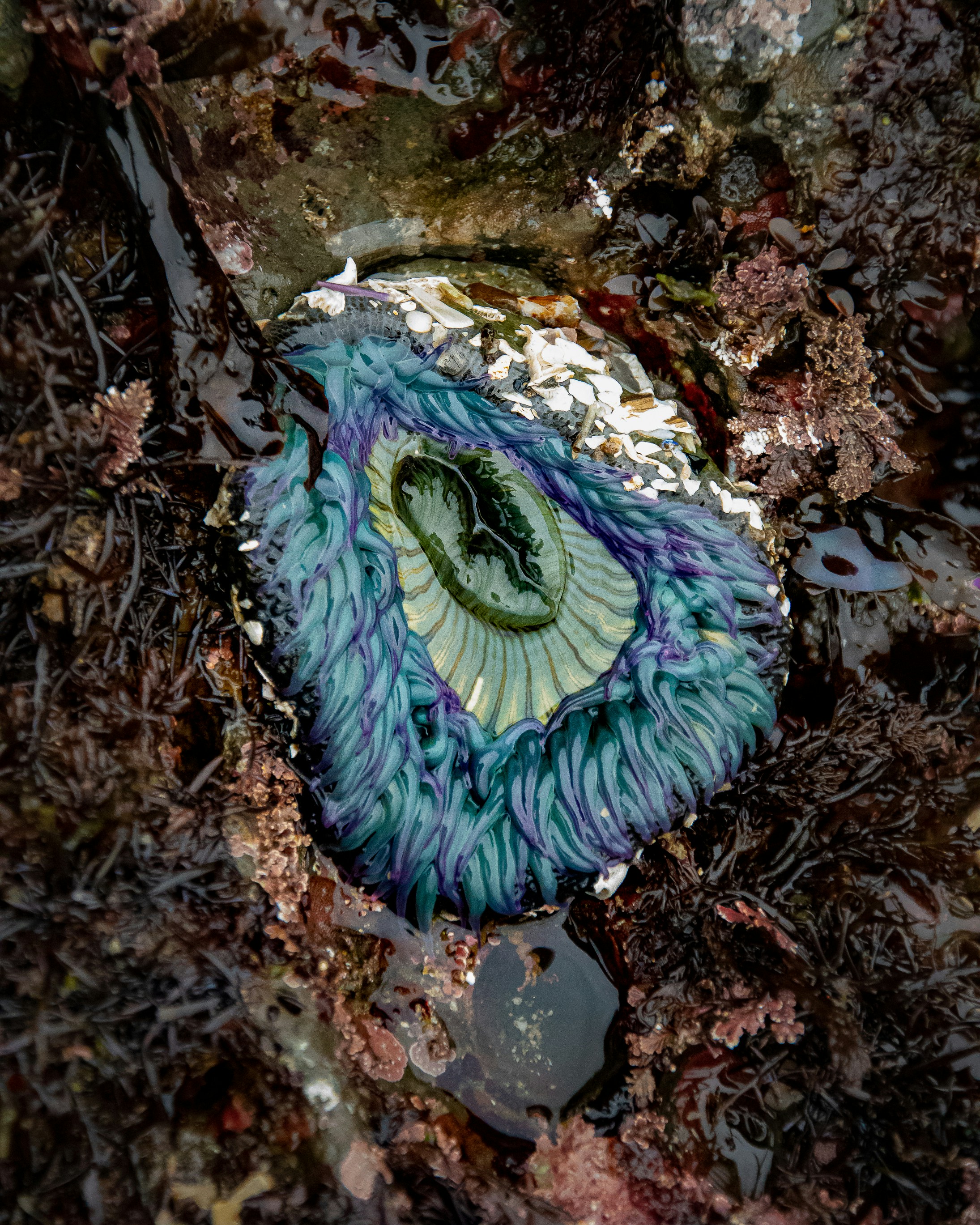 a piece of art that is on the ground