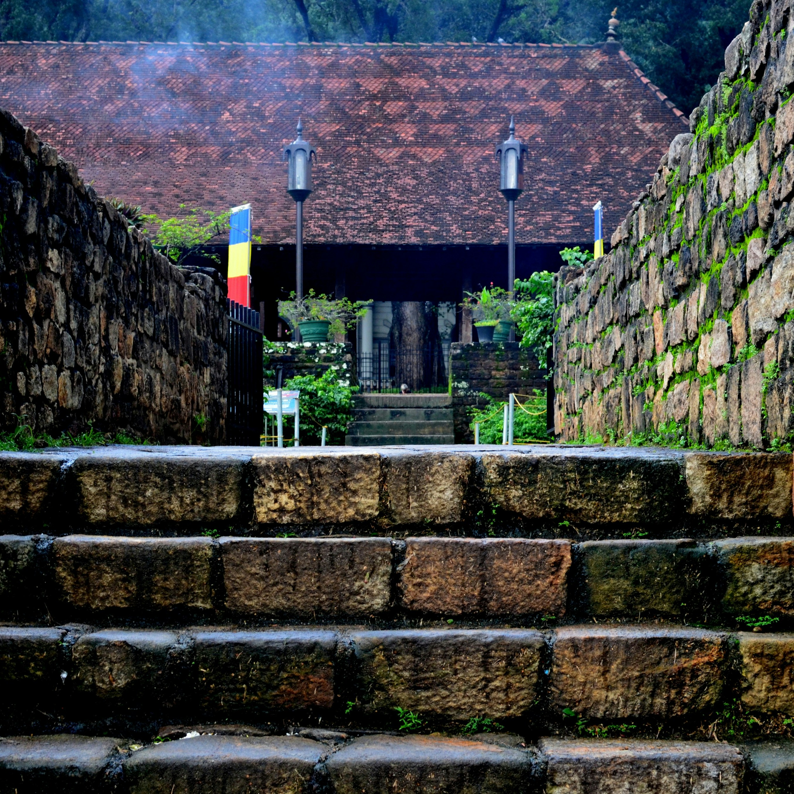 Mossy Steps Toward a Quiet Temple Gate