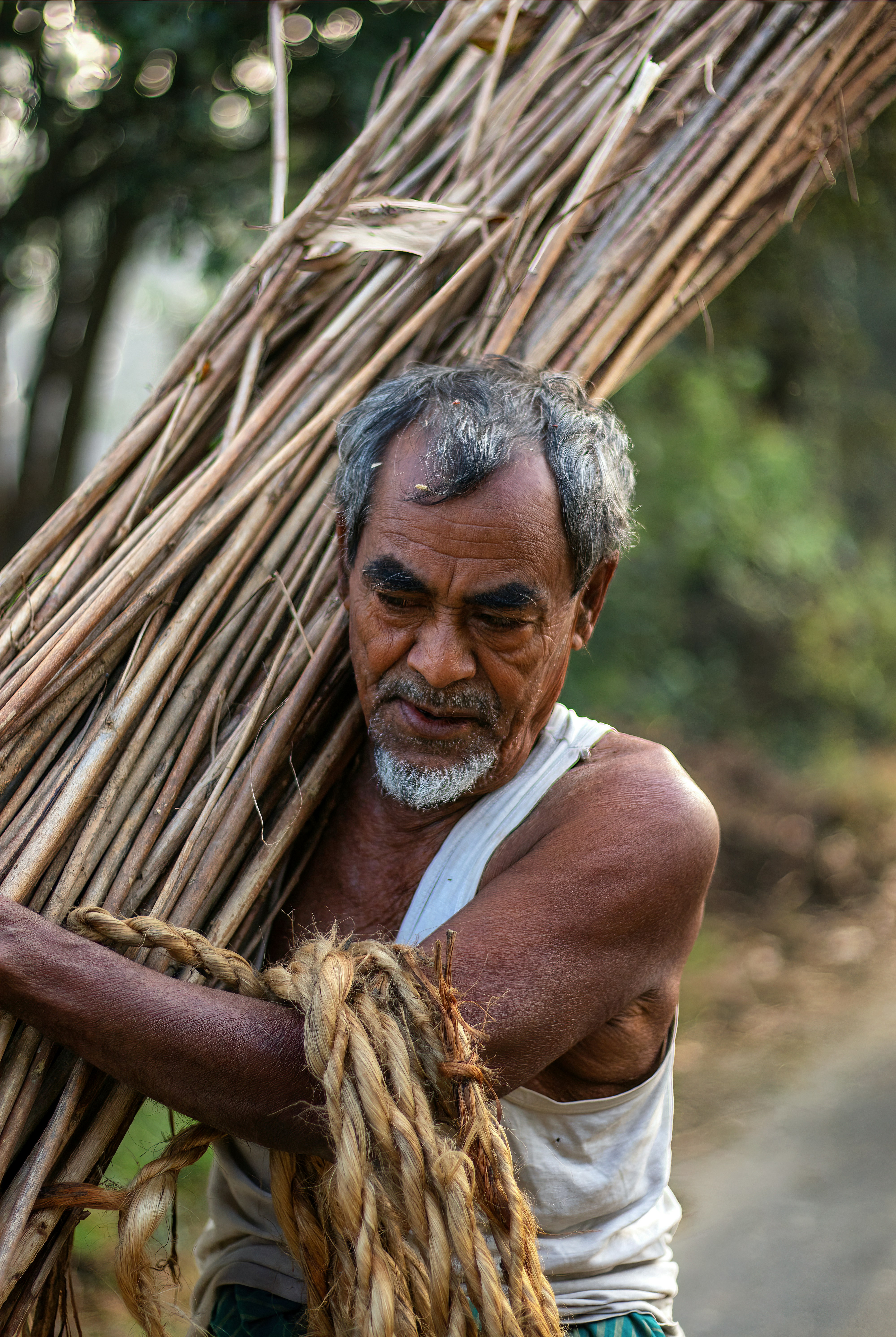 A man carrying a large bundle of sticks photo – Free Adult Image on ...
