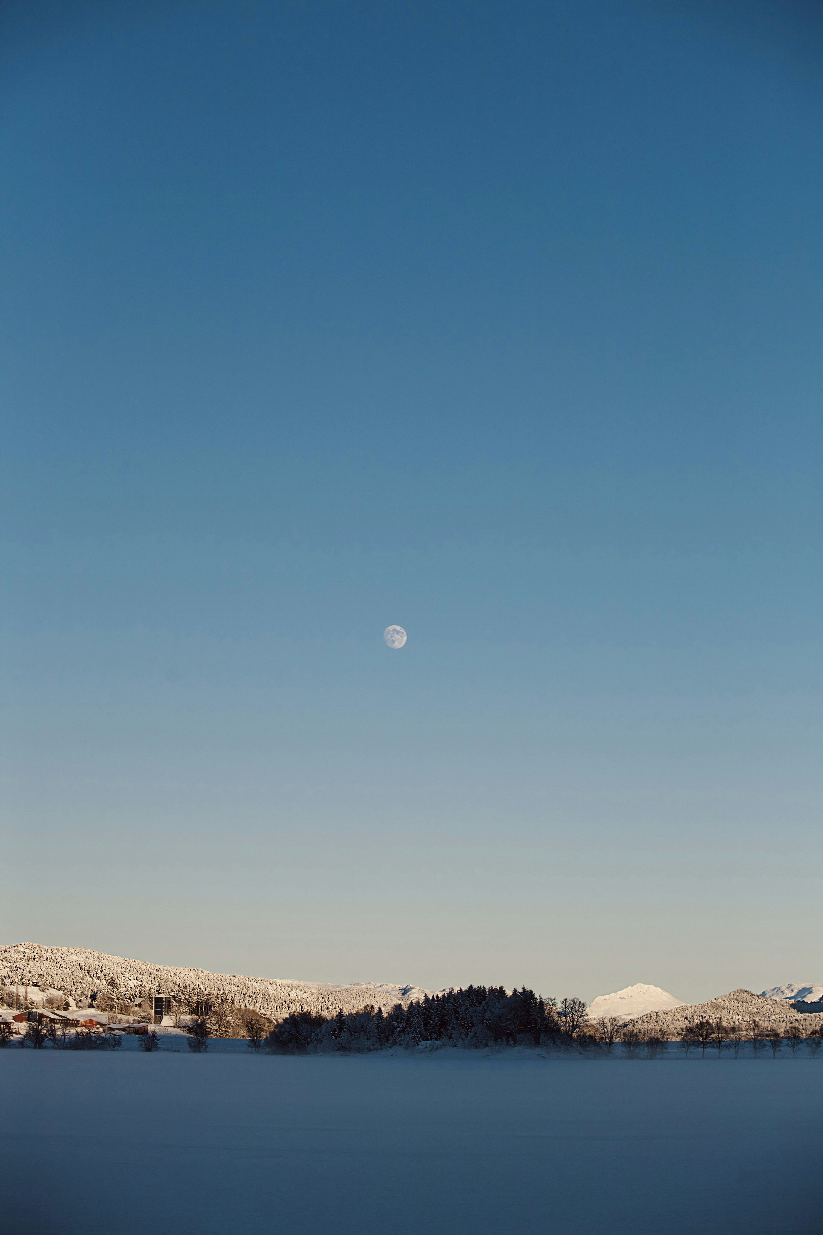 Moonlight Over a Snowbound Horizon: Winter Panorama with Distant Pines