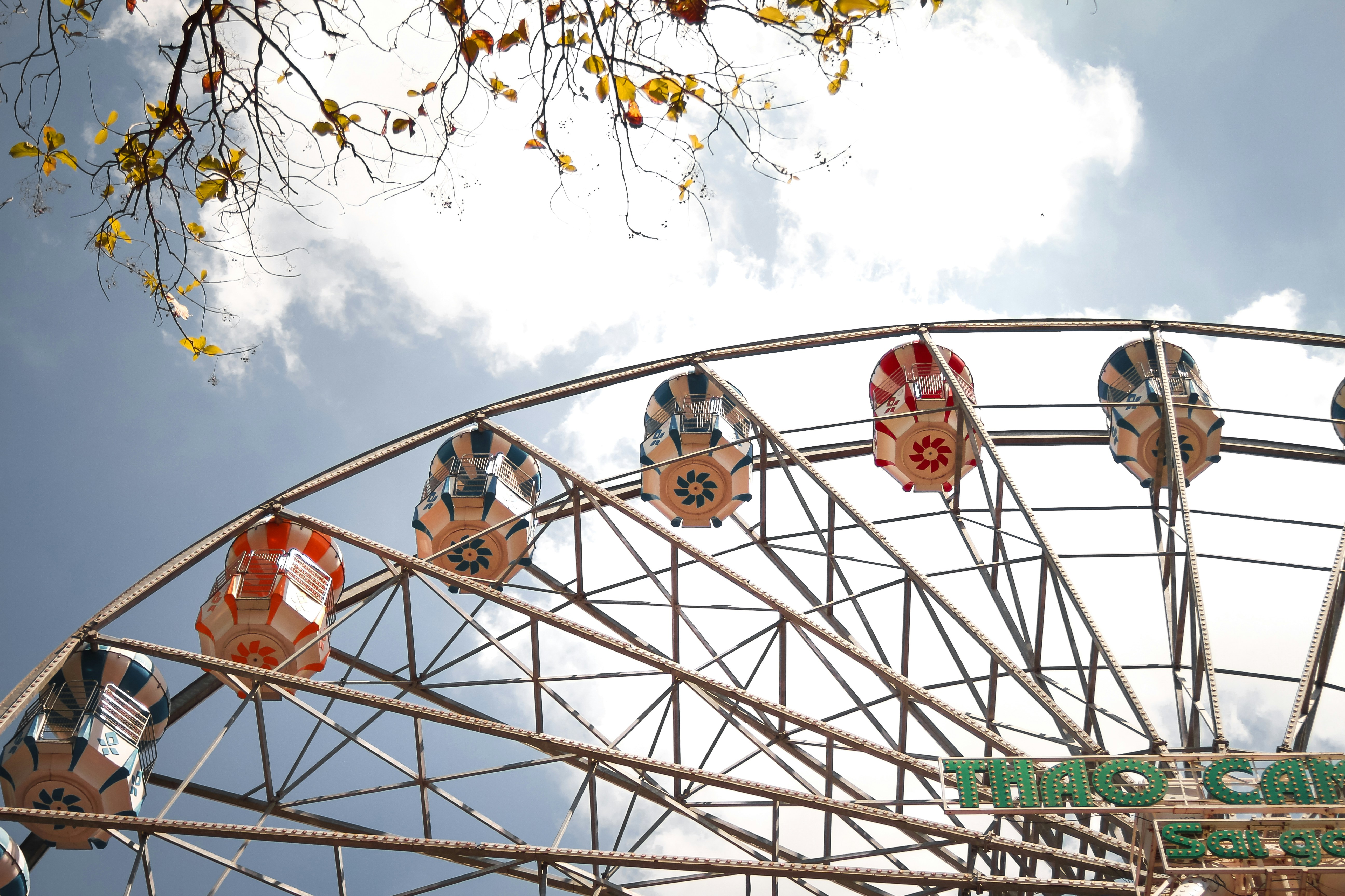 A large ferris wheel sitting next to a tree photo – Free Ferris wheel ...