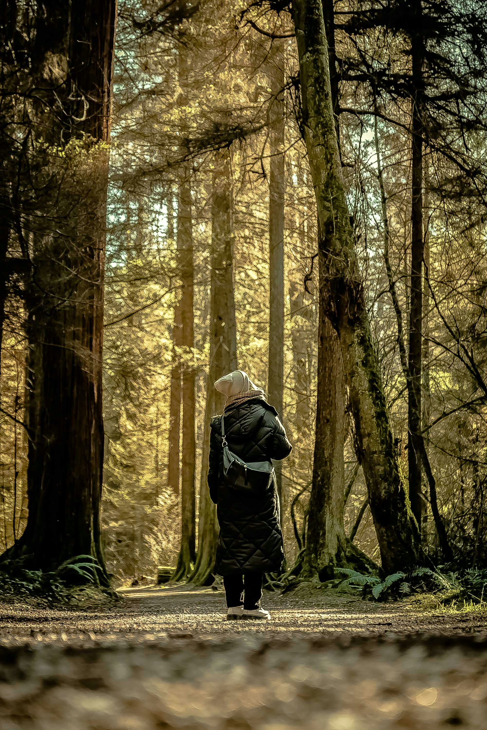 A person walking down a path in the woods photo – Free Stand Image on ...