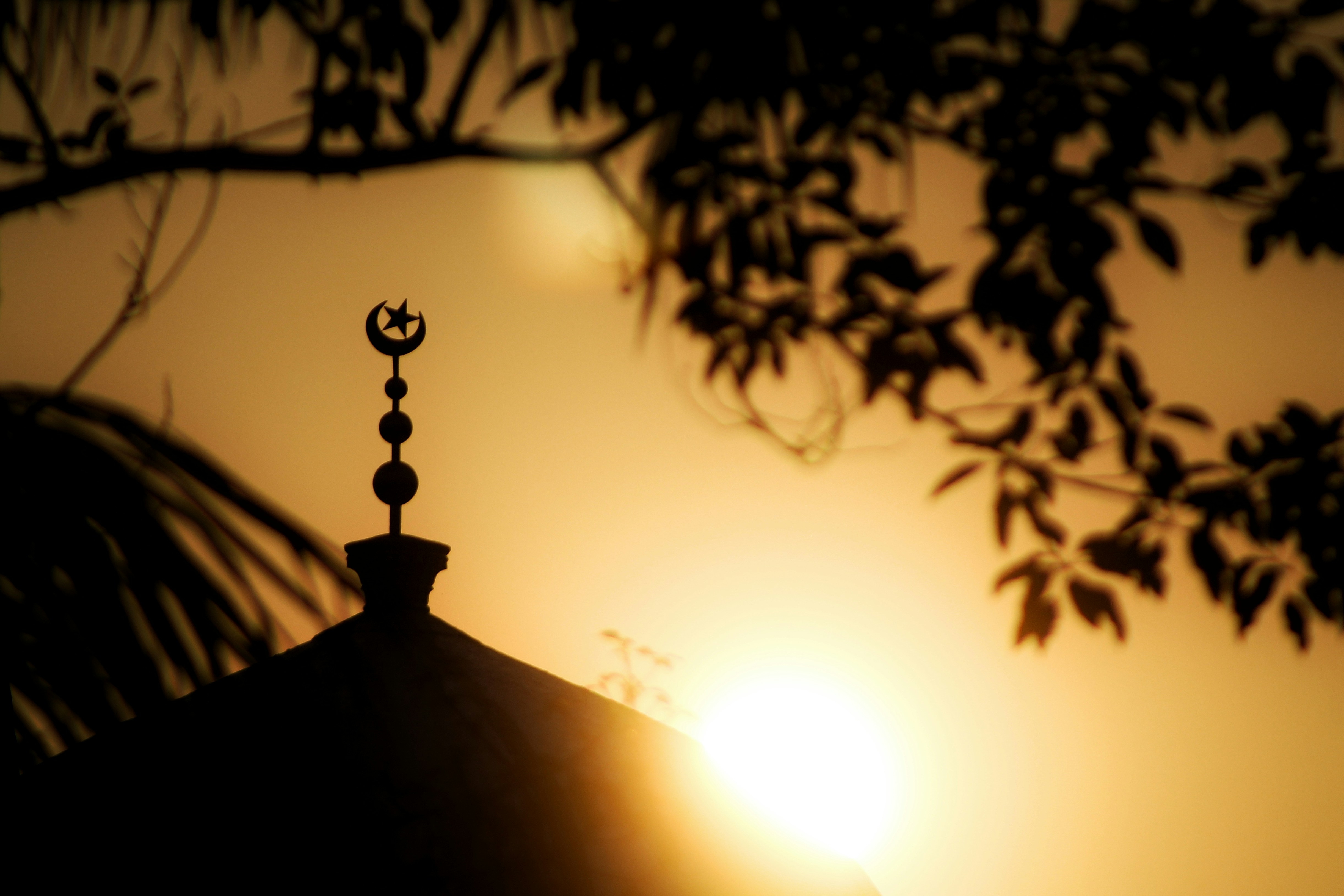 Crescent Crown at Dusk: A Golden Roof Silhouette