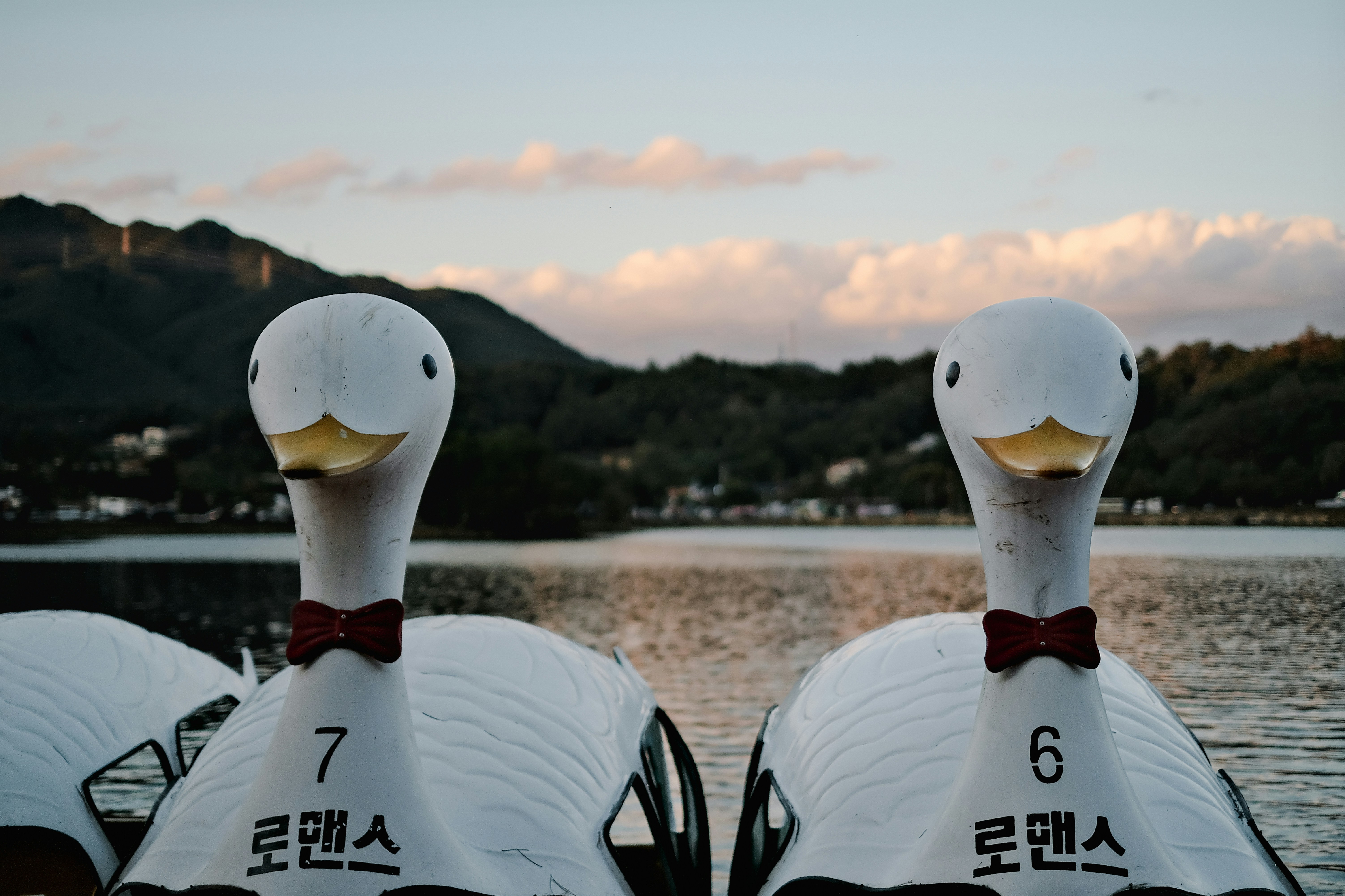 Swan Luminaries: Twin Figures by the Pond