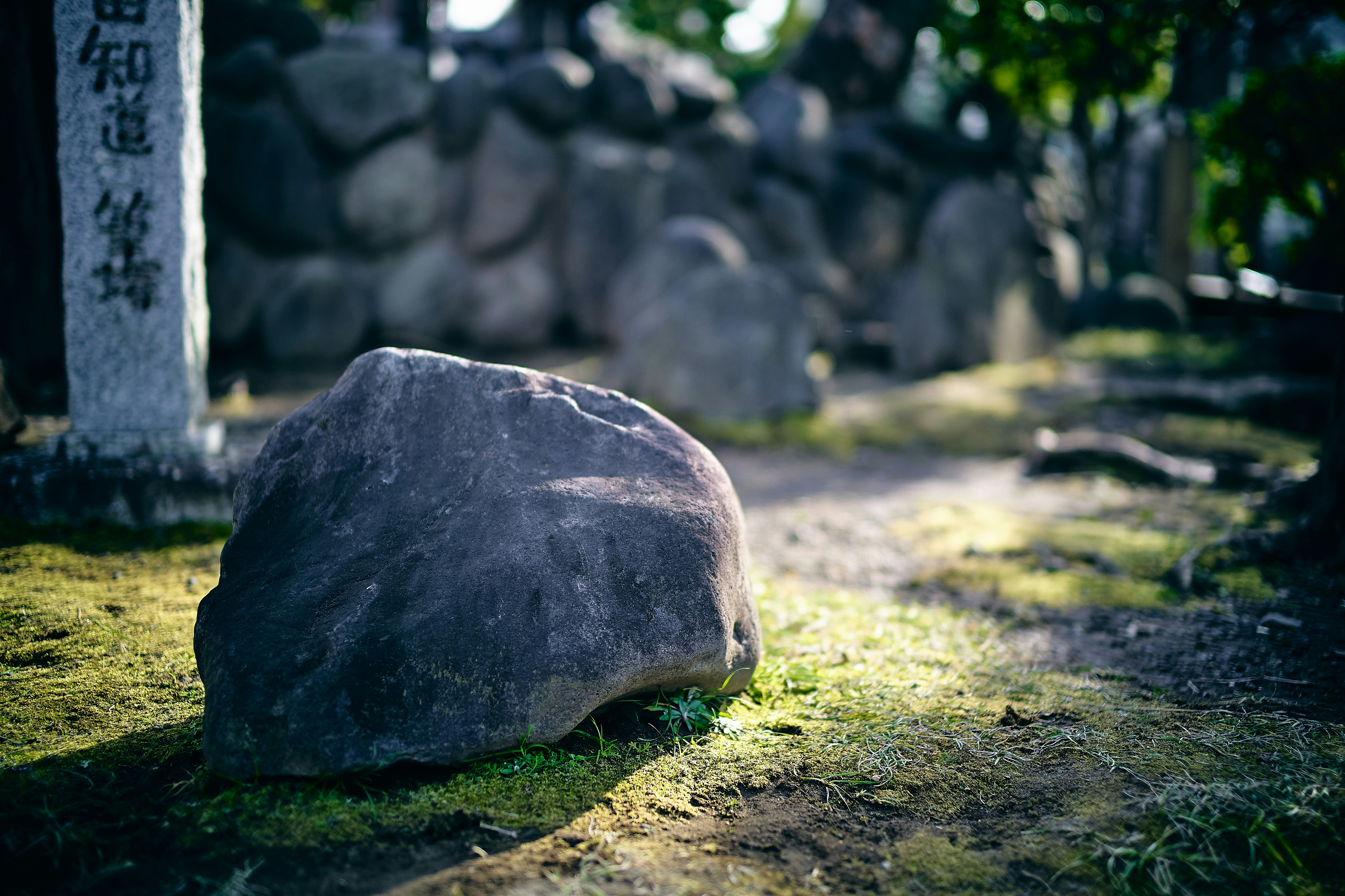 Quiet Shrine Rock: Mossy Stone in a Tranquil Garden
