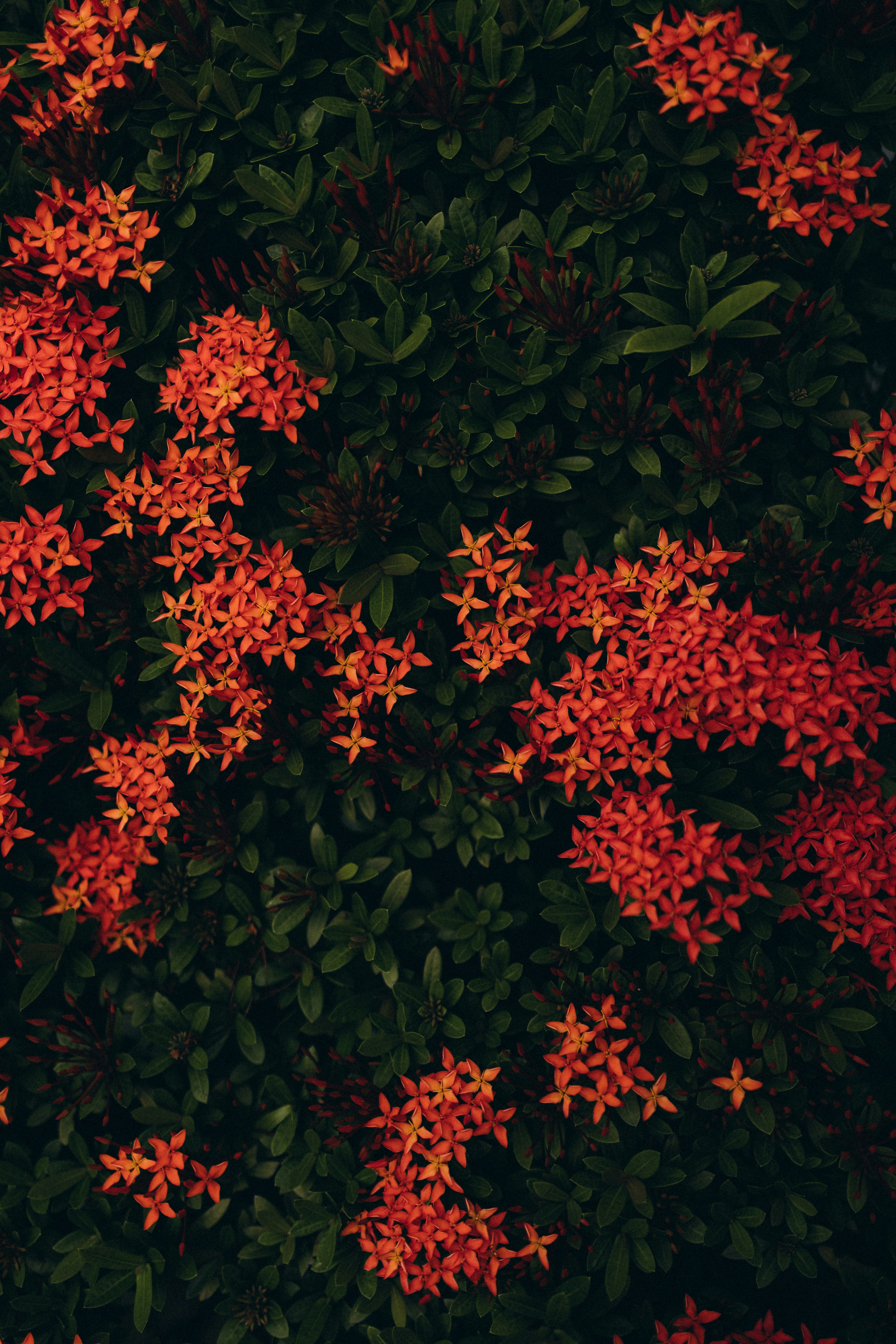 Photo by pedro silva with Canon EOS R6