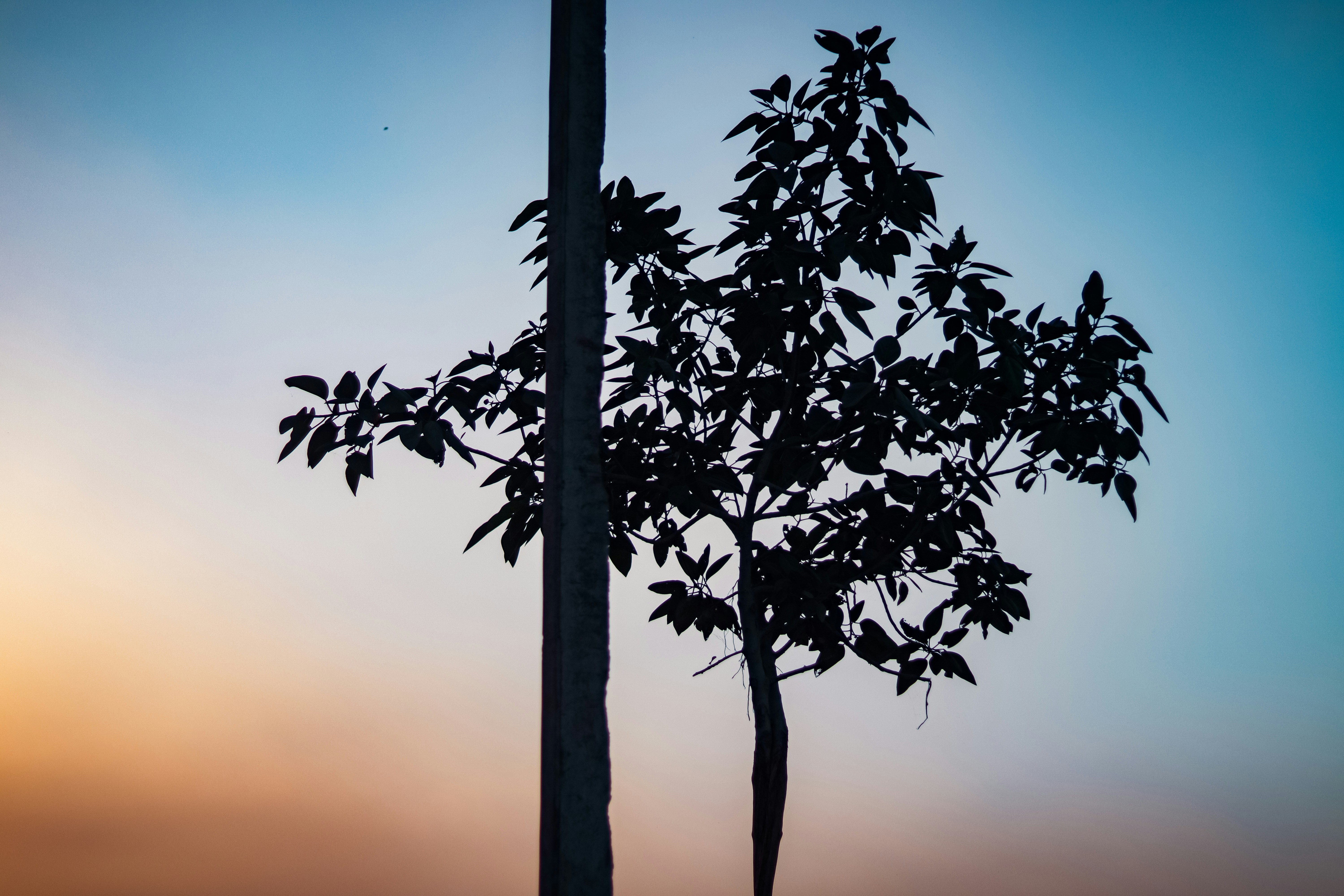 Maroda Photos | Télécharger des images gratuites sur Unsplash