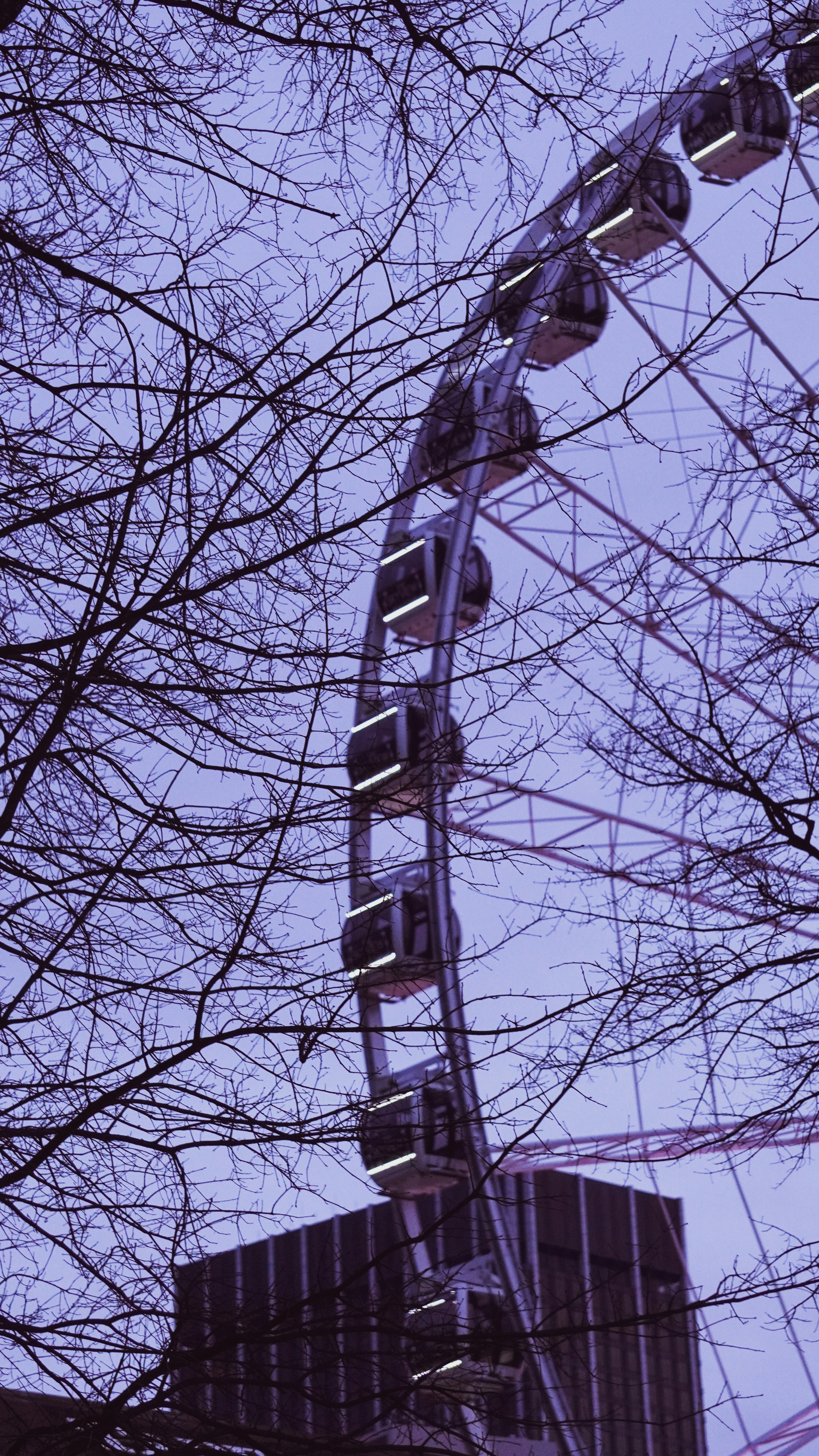 a ferris wheel in front of a tall building