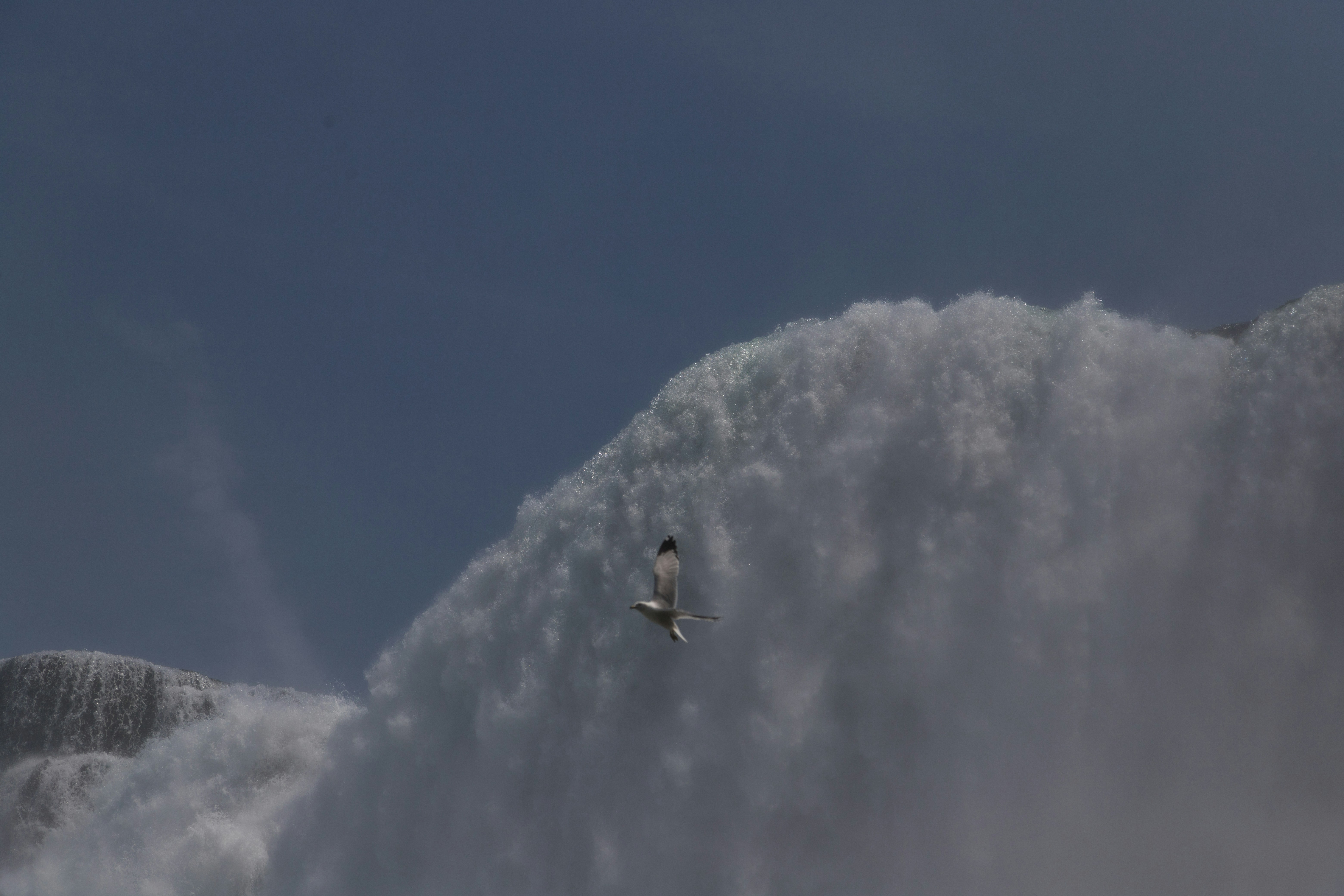 A bird flying in front of a waterfall photo – Free Sea Image on Unsplash