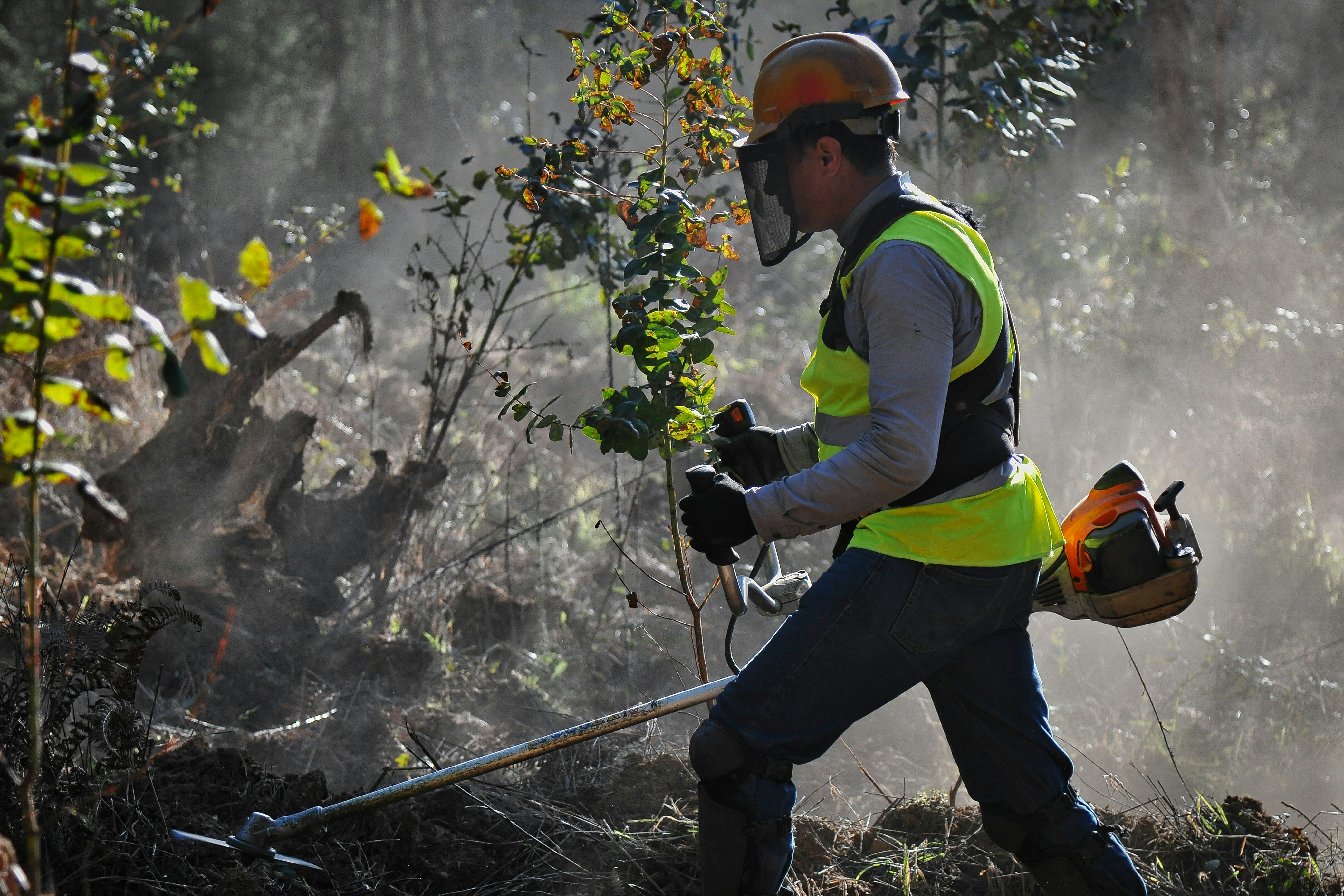 A man in a safety vest is using a tree trimmer photo – Free Forest ...