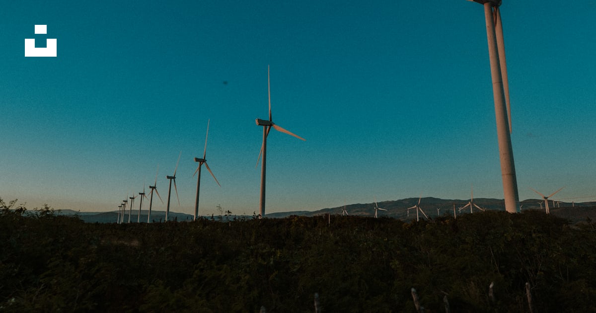 Foto Zum Thema Eine Reihe Von Windkraftanlagen Auf Einem Feld