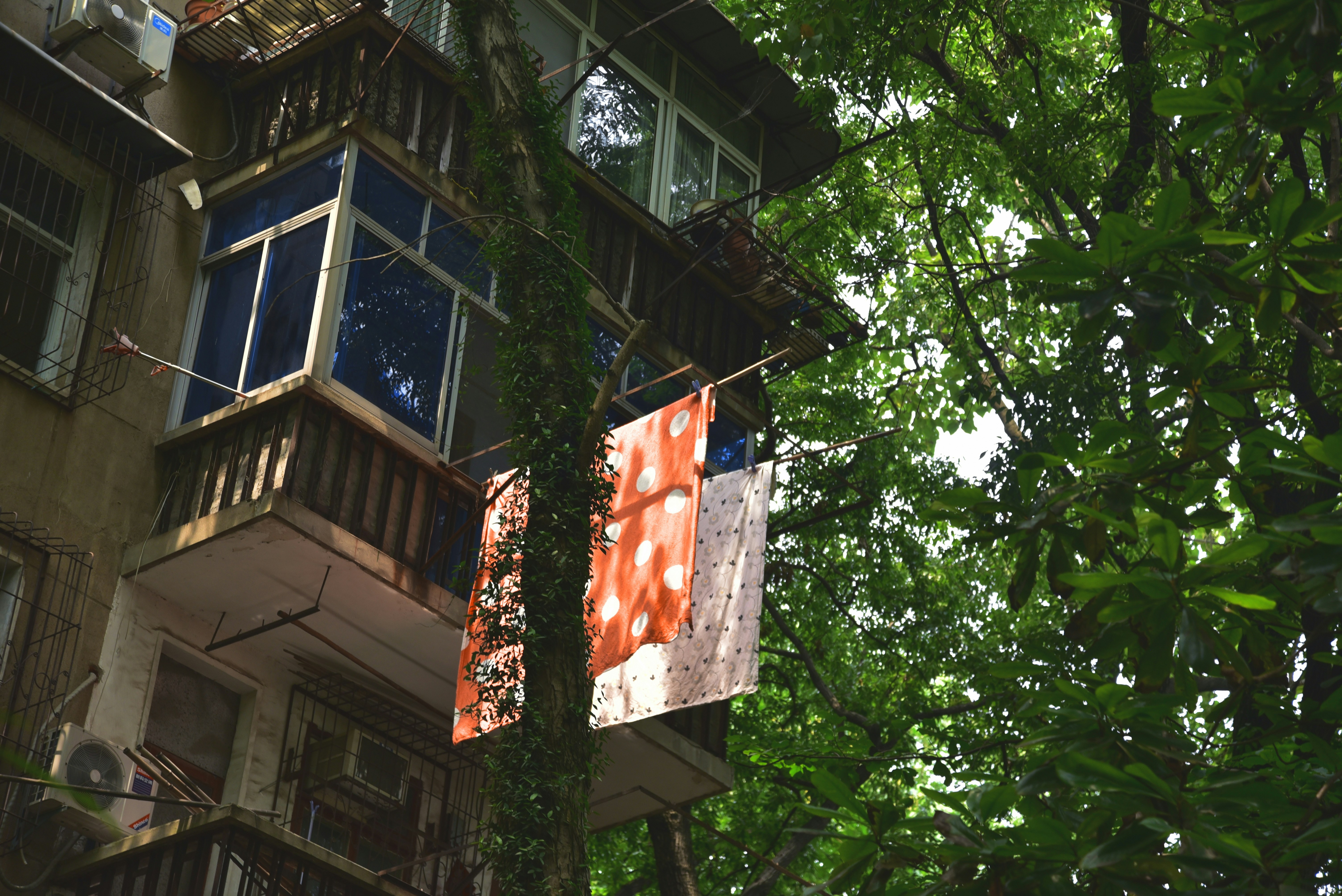 Orange Laundry on a Weathered Balcony Framed by Verdant City Light