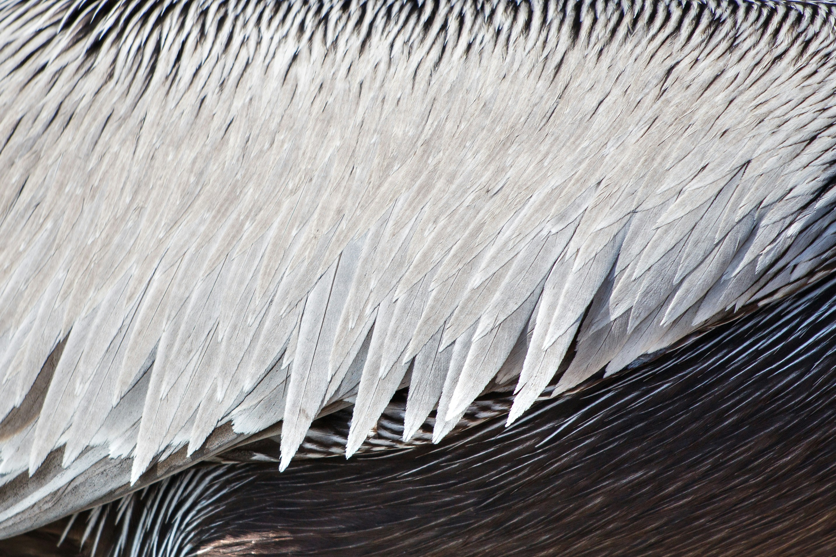 Photo by Hector Falcon with Canon EOS 6D