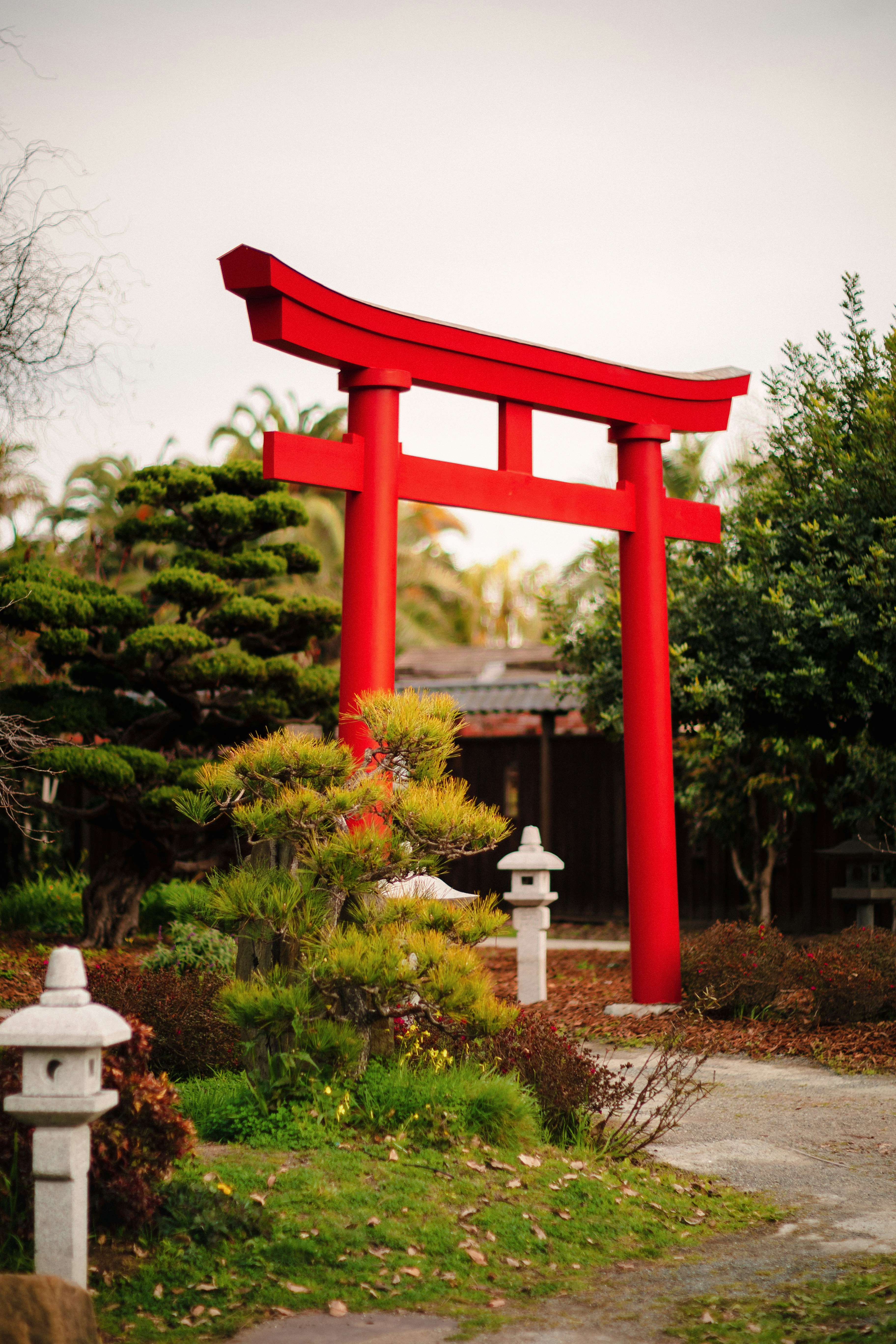 A red tori tori tori tori tori tori tori tori tori tori tori tori tori ...