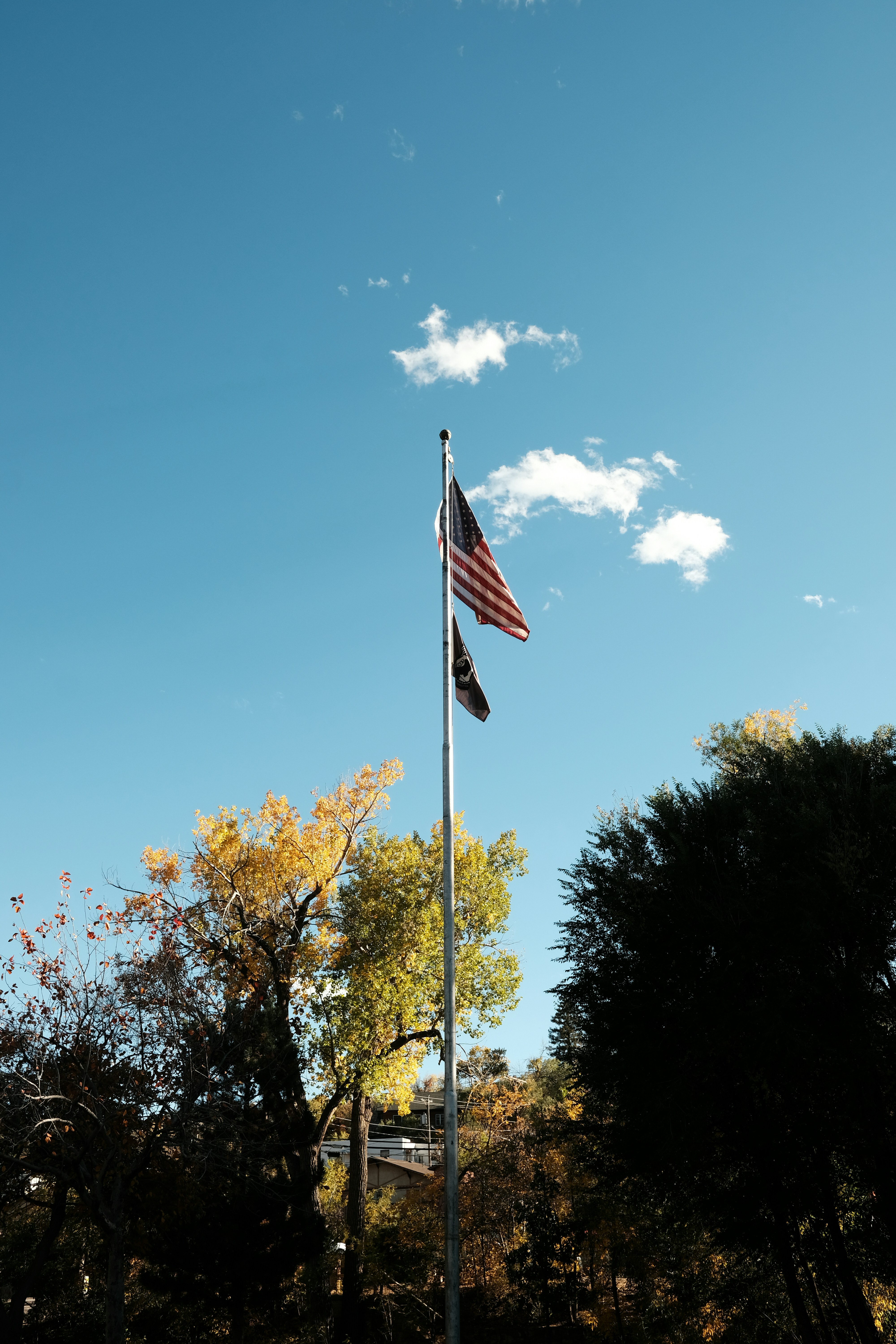 American and state flags billowing against a bright blue sky, framed by vibrant autumn foliage. A scene of patriotism and seasonal beauty.