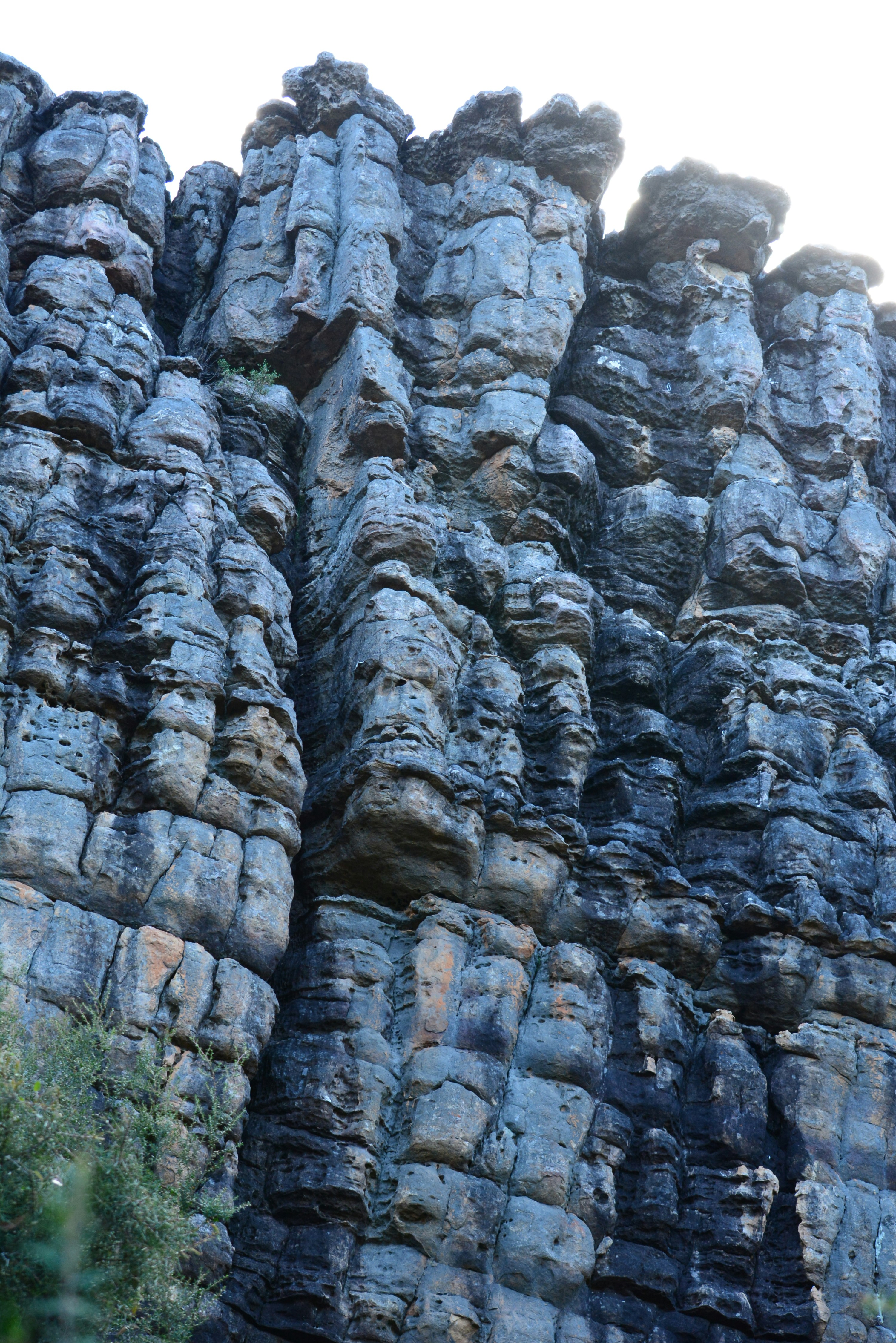 A very tall rock formation with trees growing out of it photo – Free ...