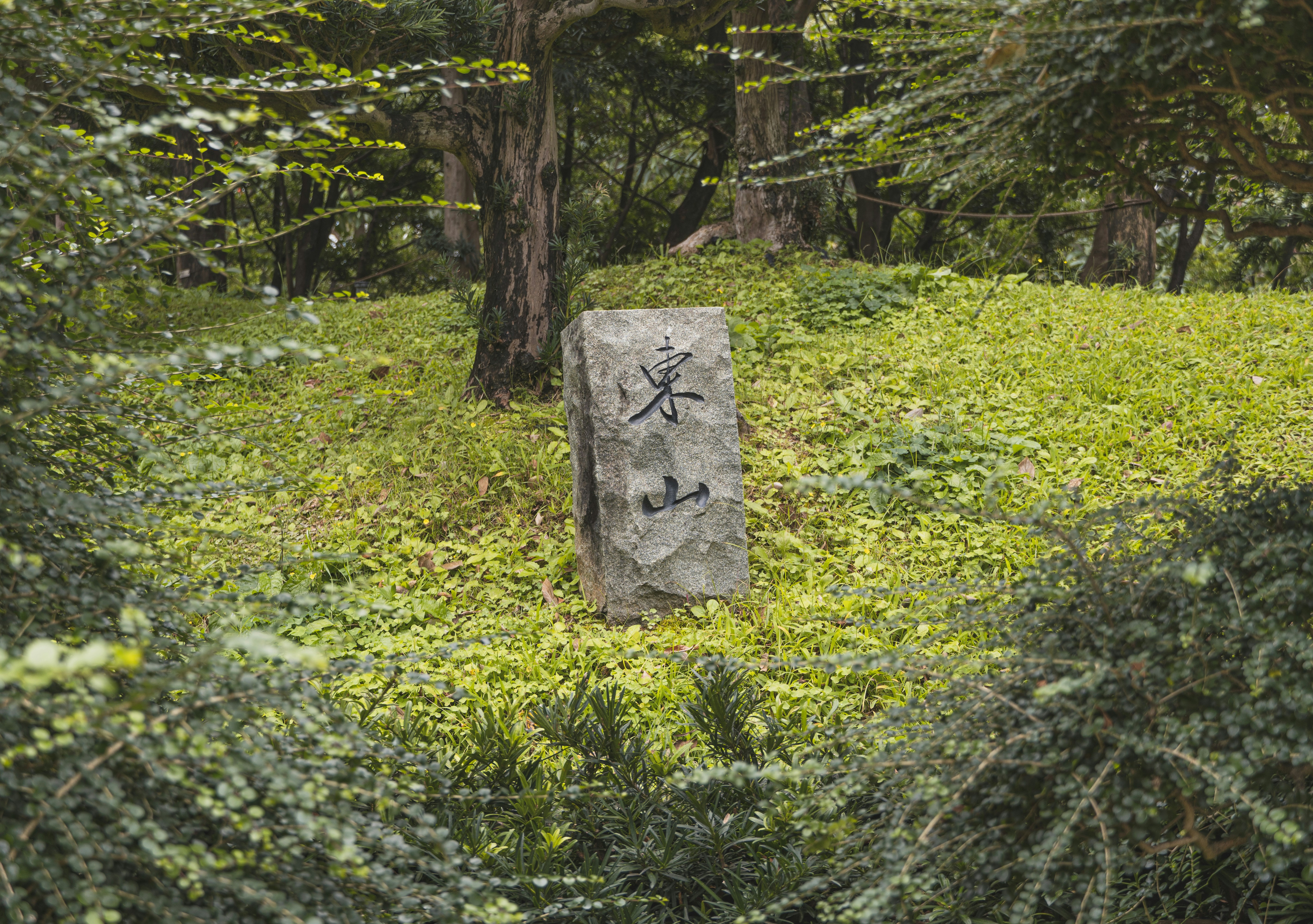 A weathered stone marker inscribed with characters, nestled amidst lush greenery in a serene landscape. The scene invites reflection and connection with nature.