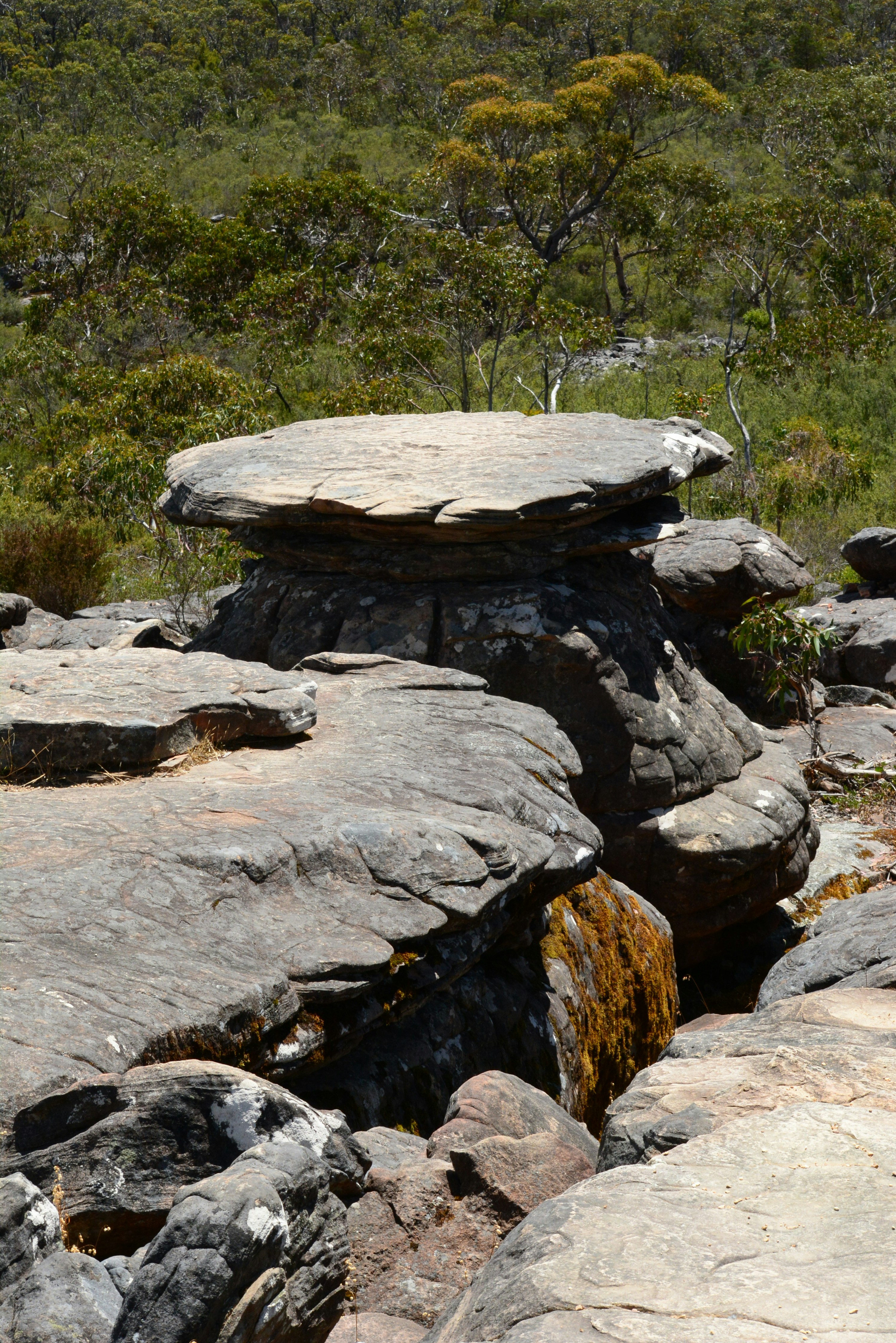 Un affleurement rocheux au milieu d’une forêt photo – Photo Les ...