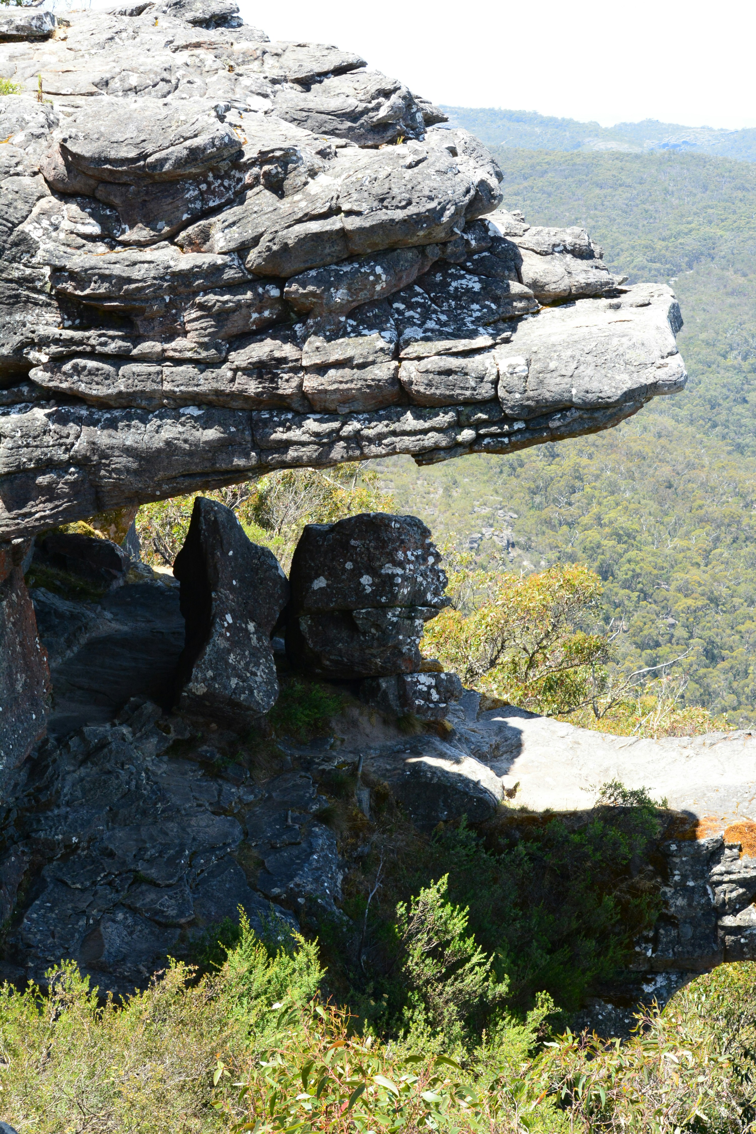 A rock outcropping in the middle of a forest photo – Free The grampians ...