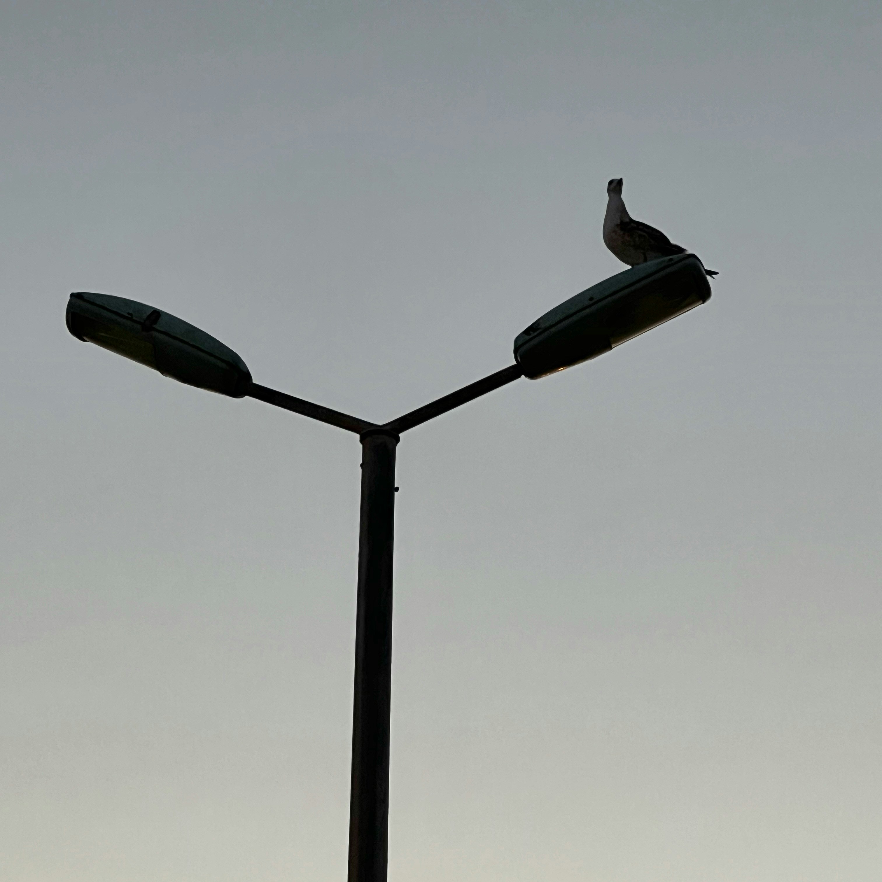 #lonely
