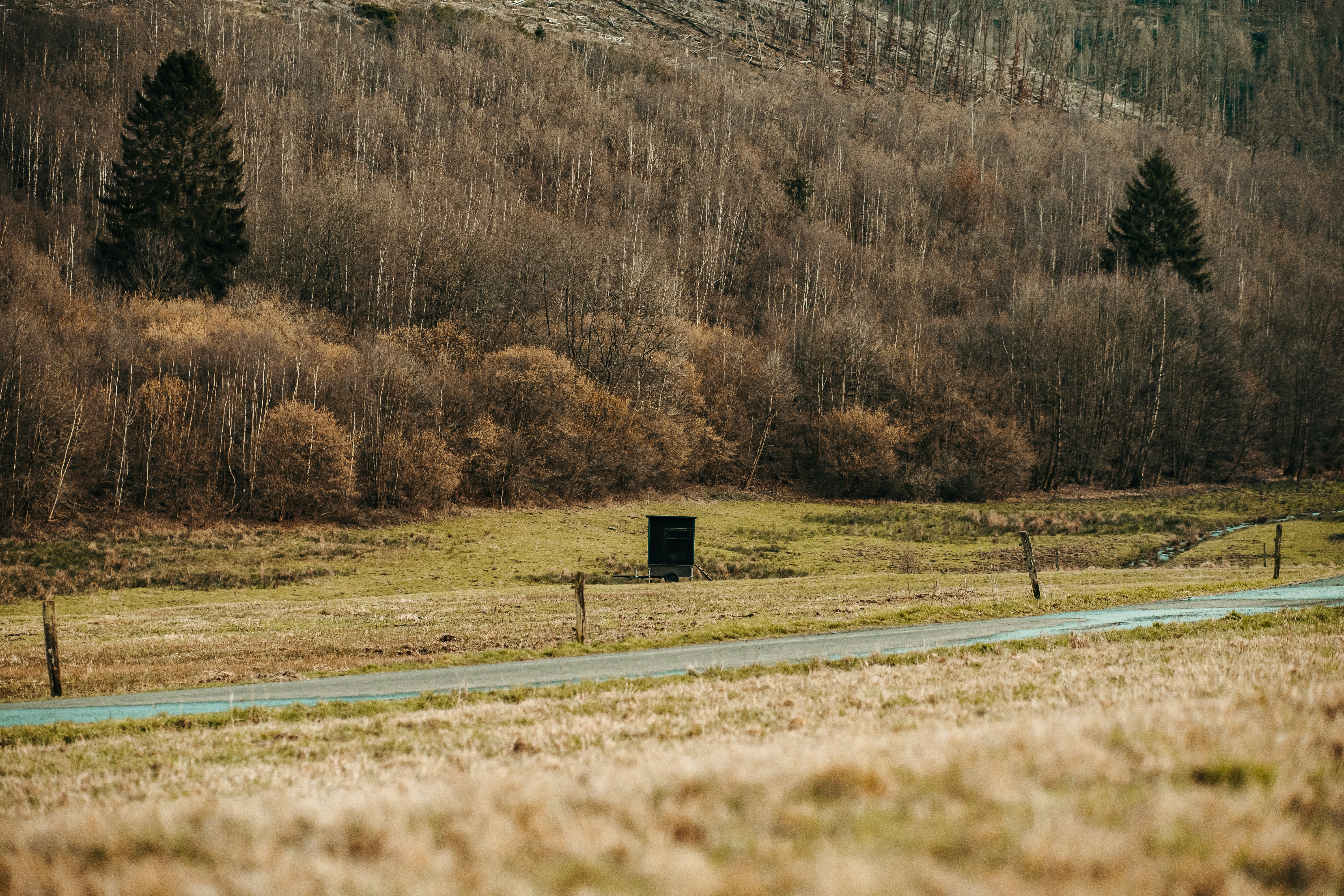 Midfield Sentinel: A solitary dark utility box framed by a hillside of bare trees