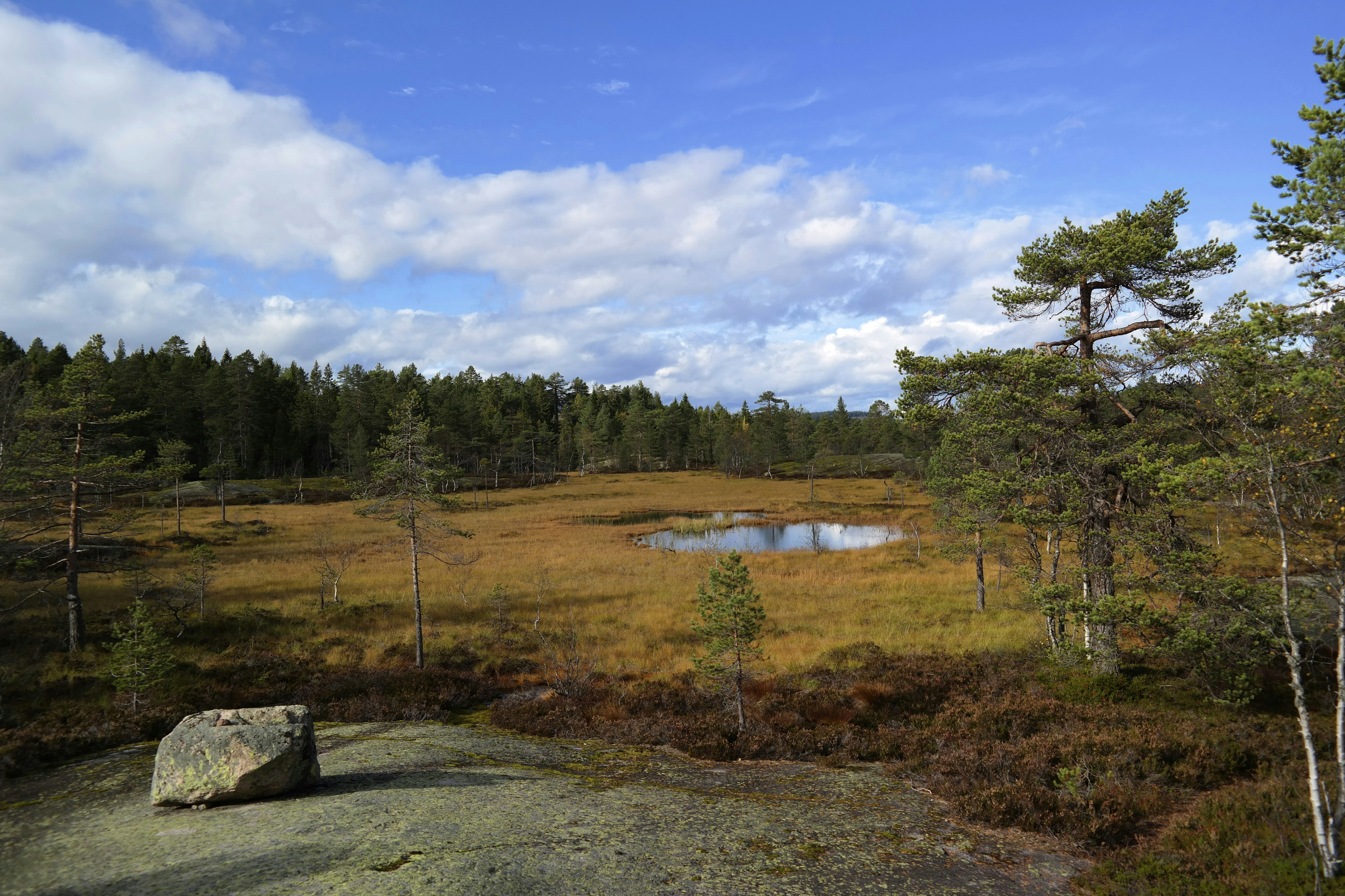 Autumn landscape with a large rock in the foreground, surrounded by trees and a reflective pond under a bright blue sky.