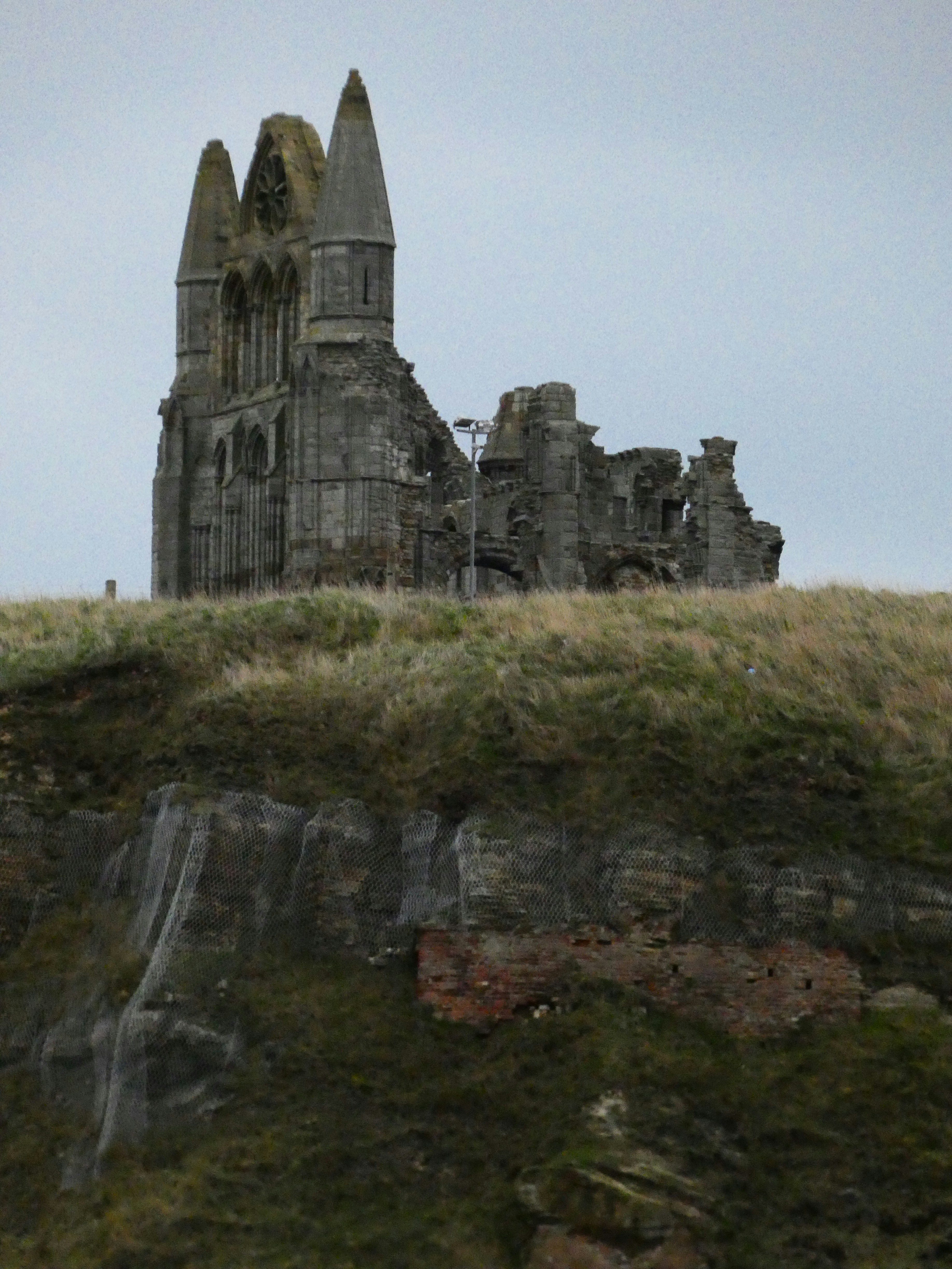 Photo by Owen with Panasonic Lumix FZ82