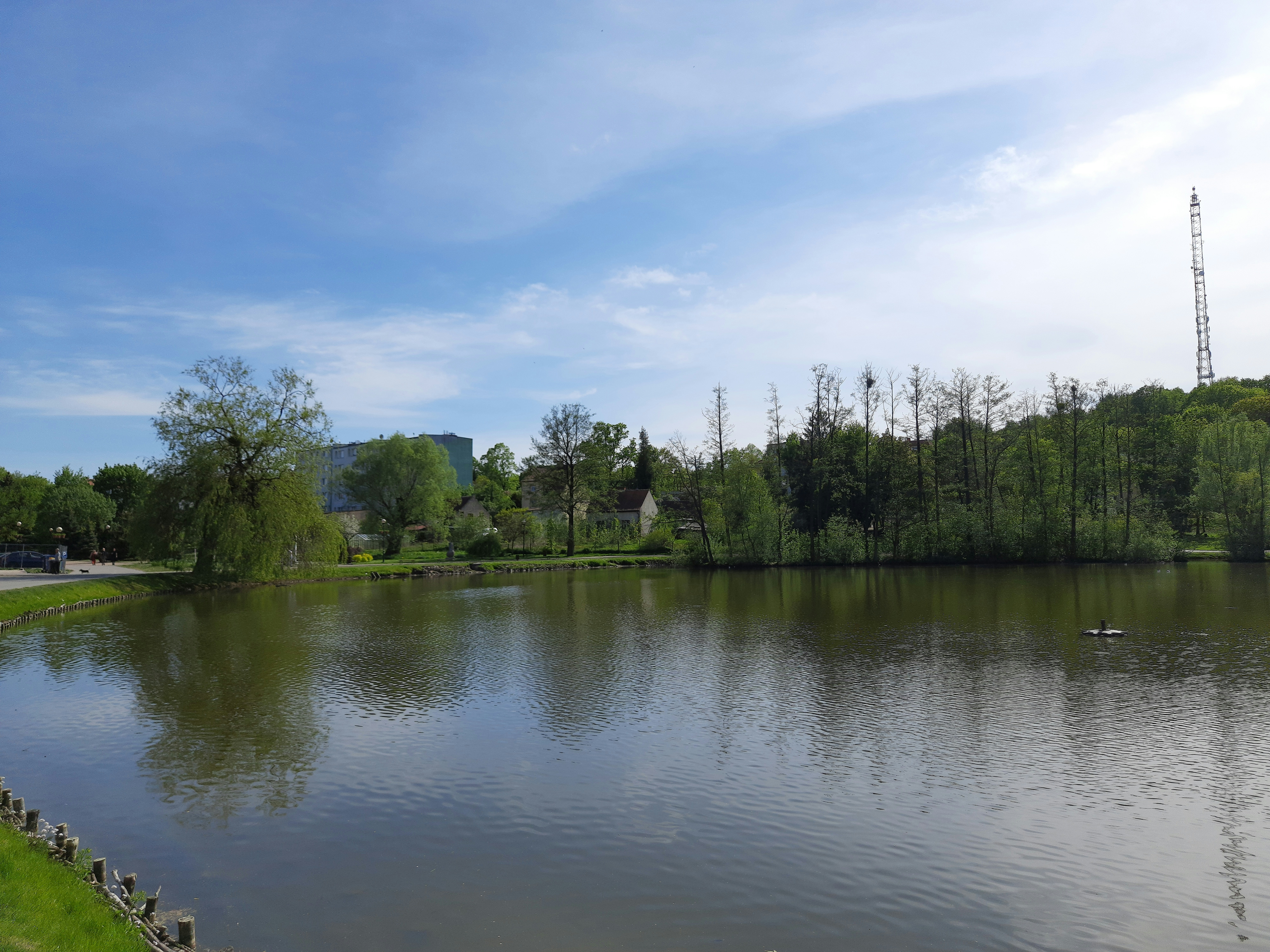 Lush greenery surrounds a calm lake, with a hint of urban architecture in the background. The scene captures a peaceful moment in nature.