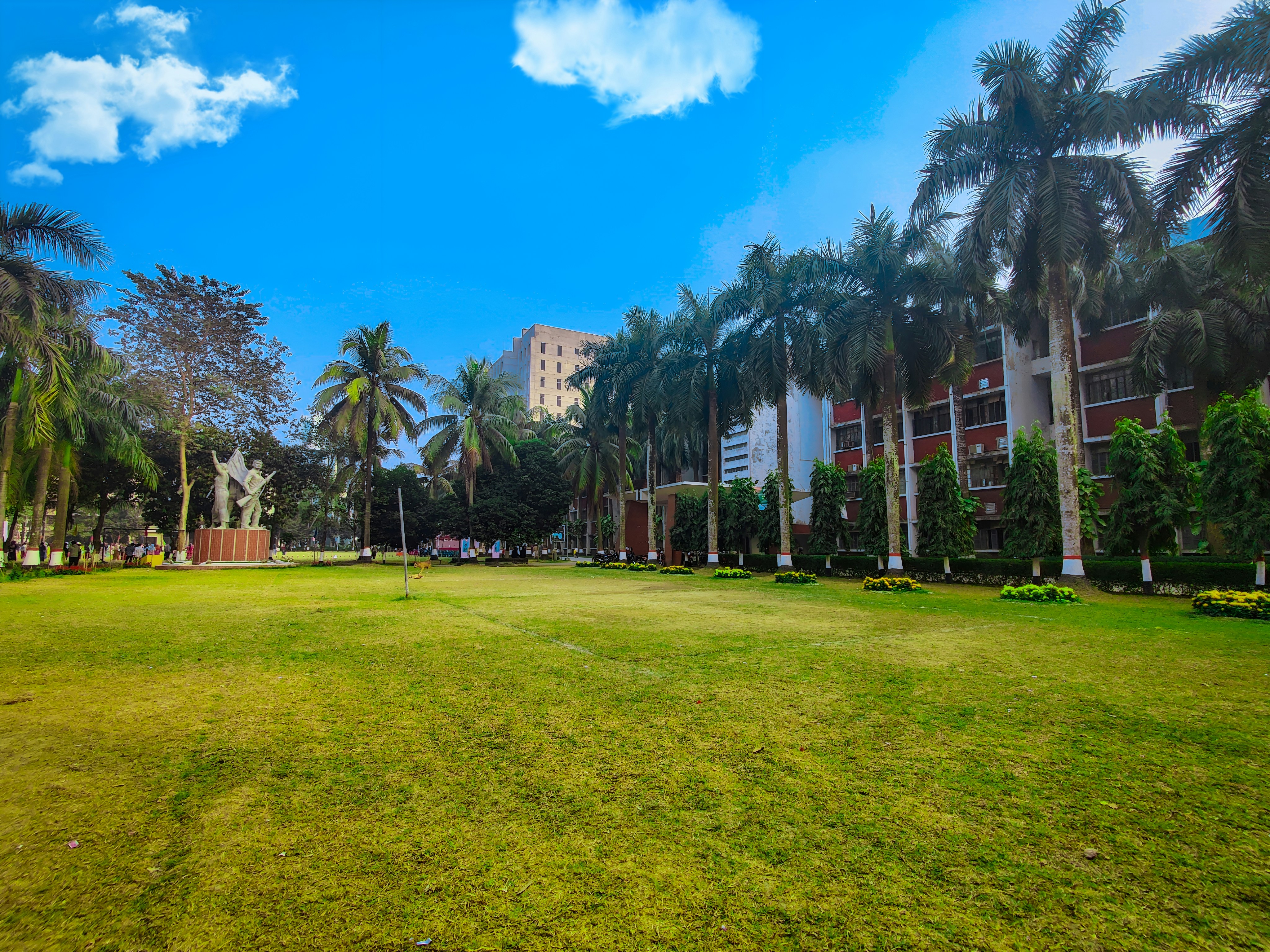 Lush green lawn surrounded by tall palm trees and buildings under a bright blue sky.