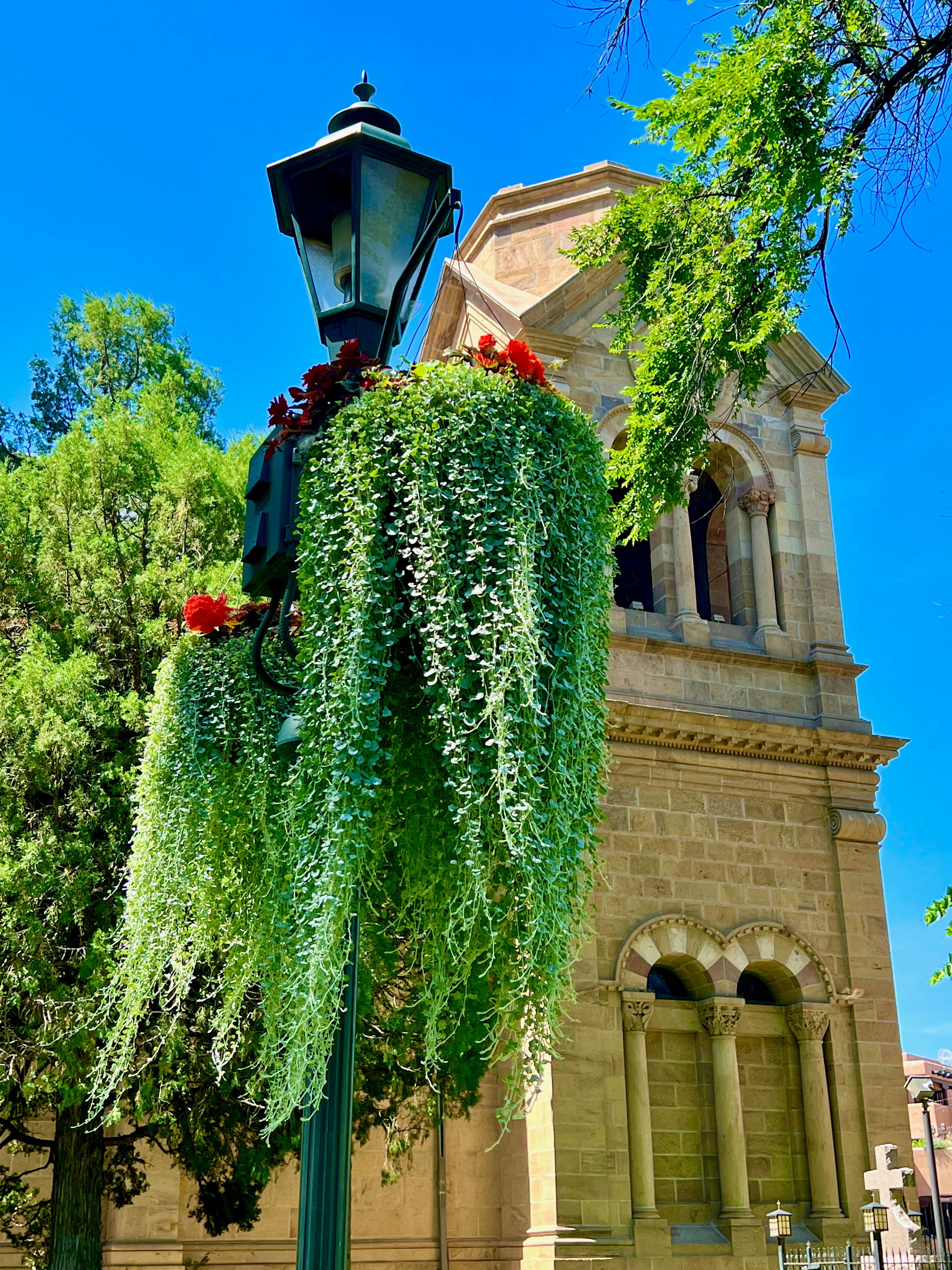 Lantern Draped in Green Velvet: A Streetlamp Framed by a Historic Bell Tower