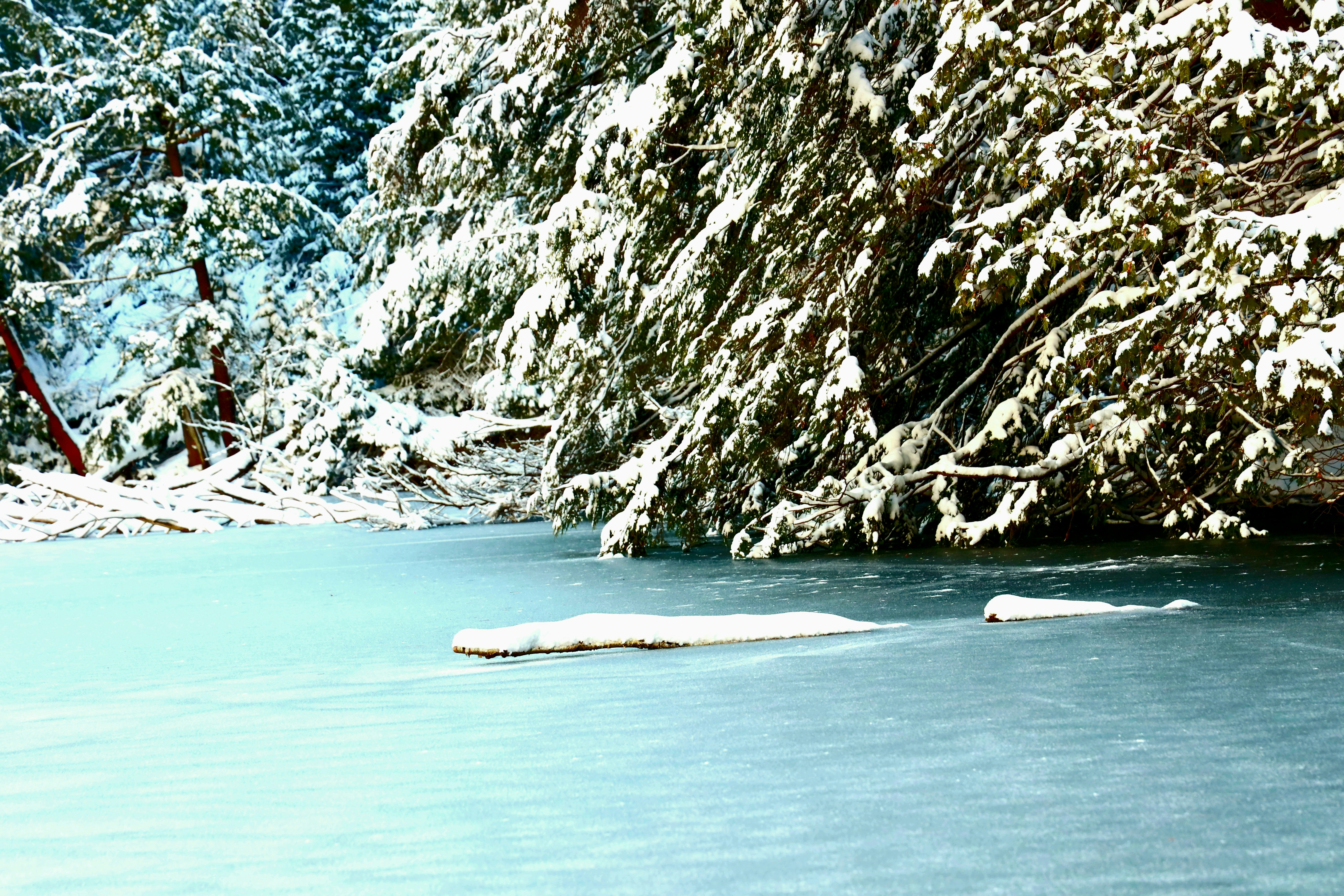 a man riding skis down a snow covered slope