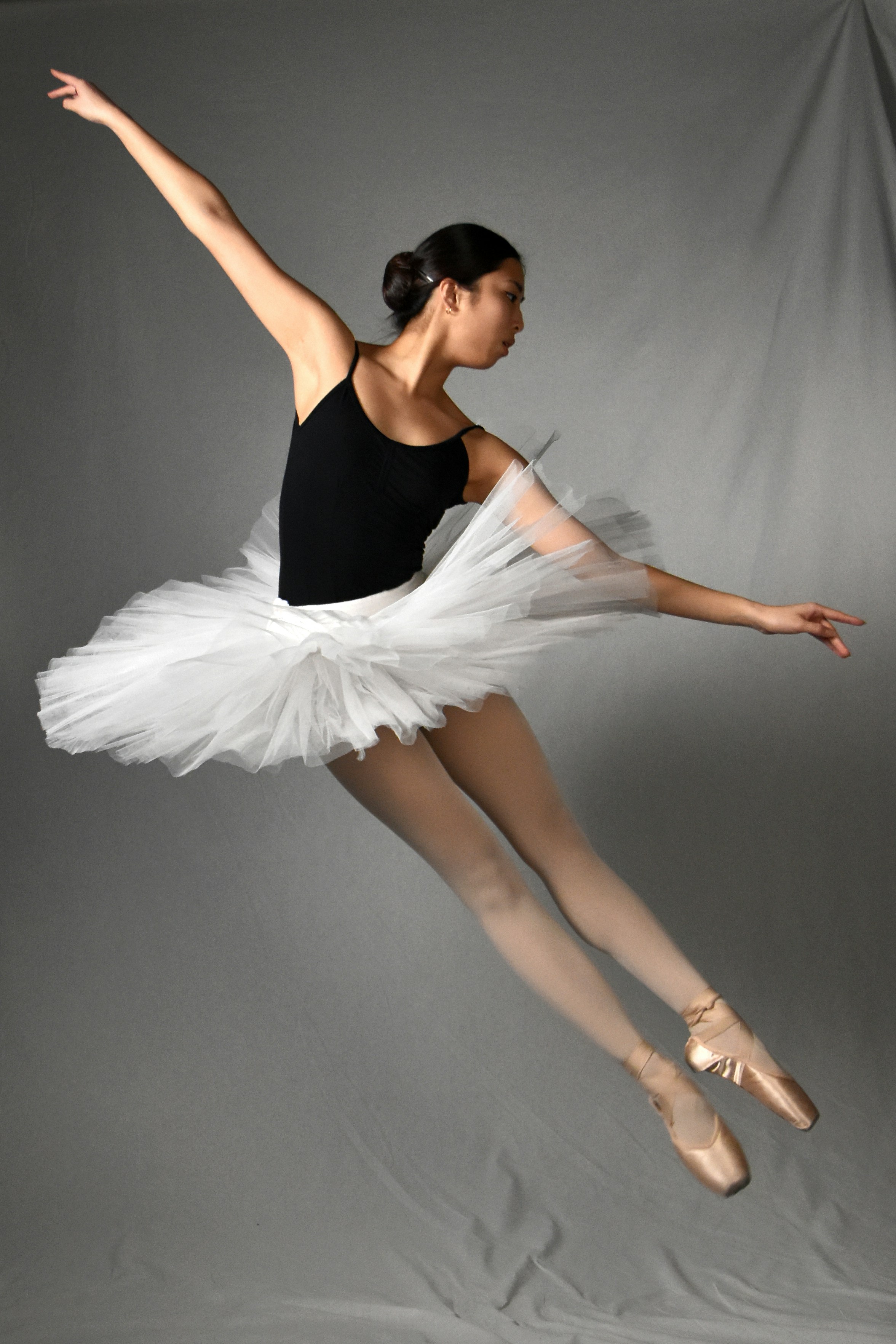 Ballet Dancer Black And White Swan