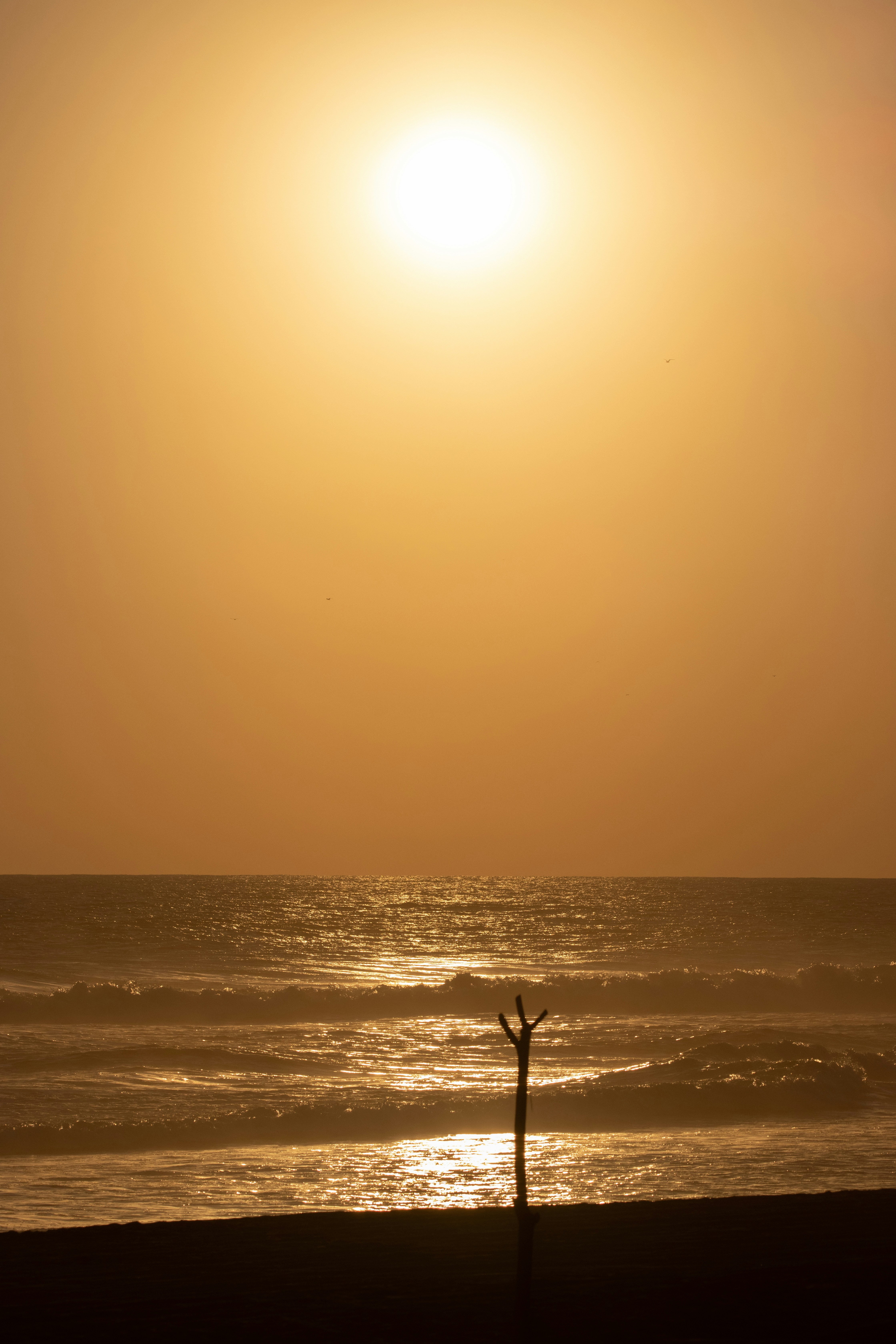 Gold Hour Over Quiet Surf: The Horizon's Silent Post