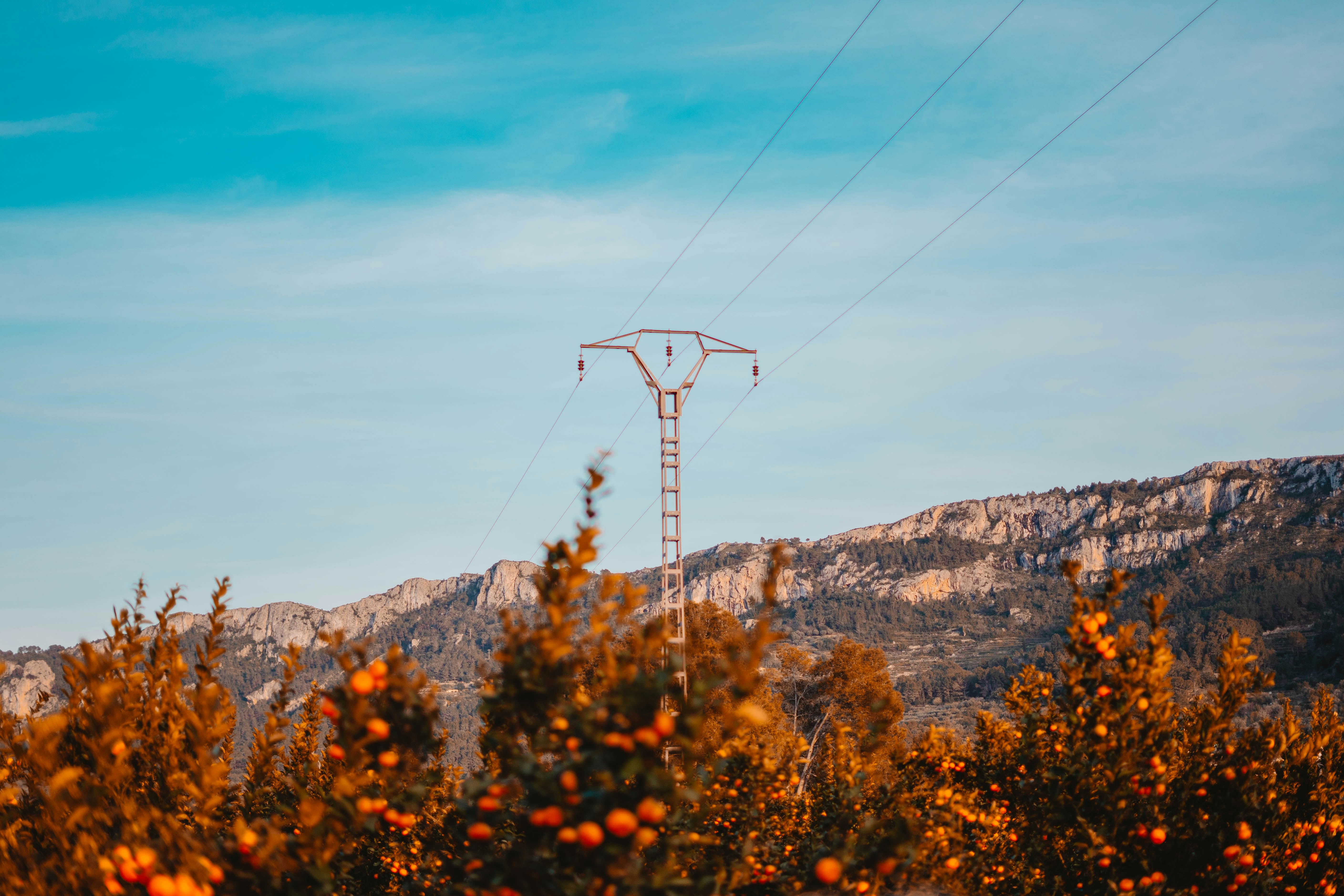Autumn Sentinel Over the Pines: A Transmission Tower Framing the Blue Sky