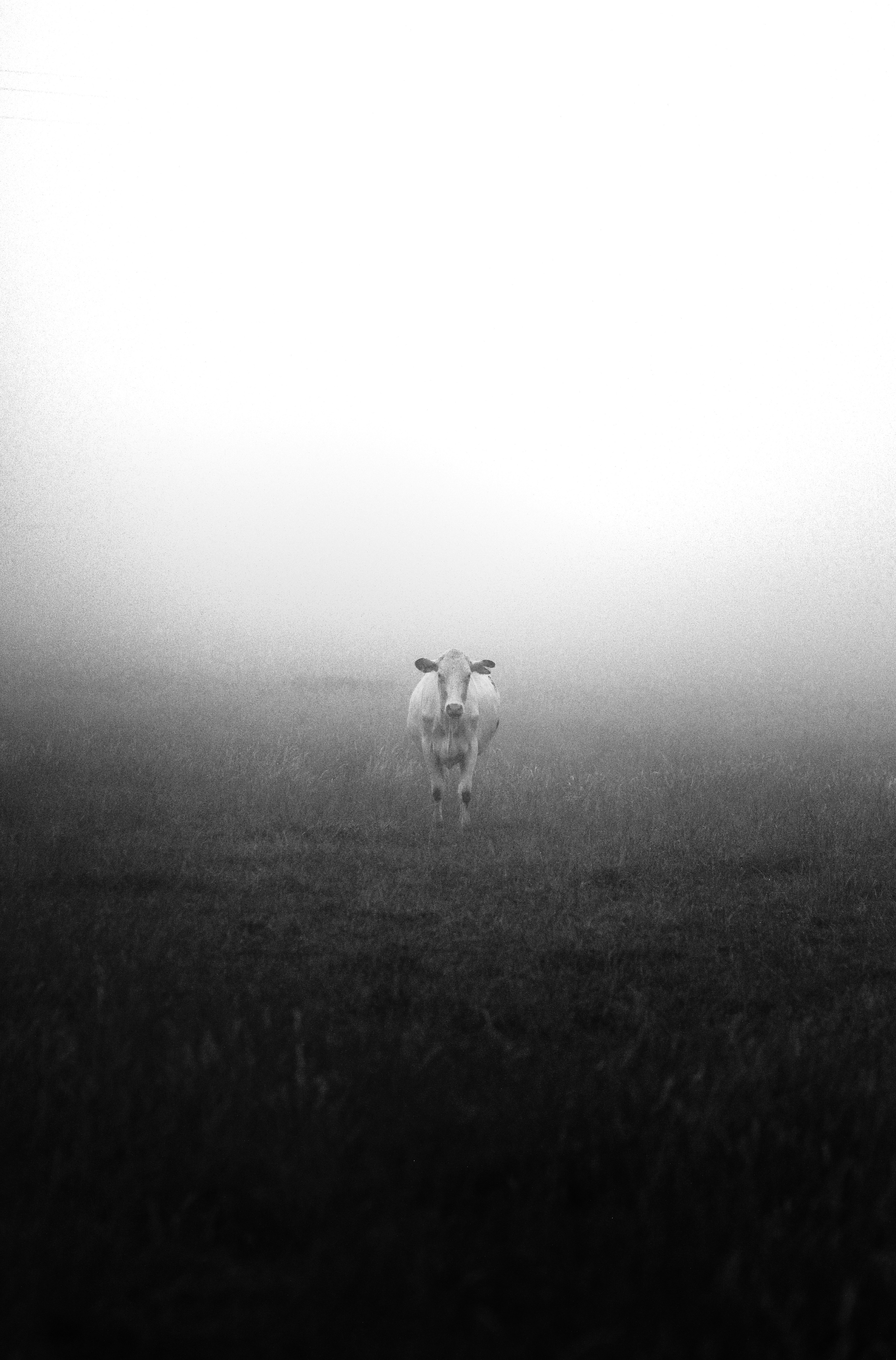 Photo by Fraser with Canon EOS 60D