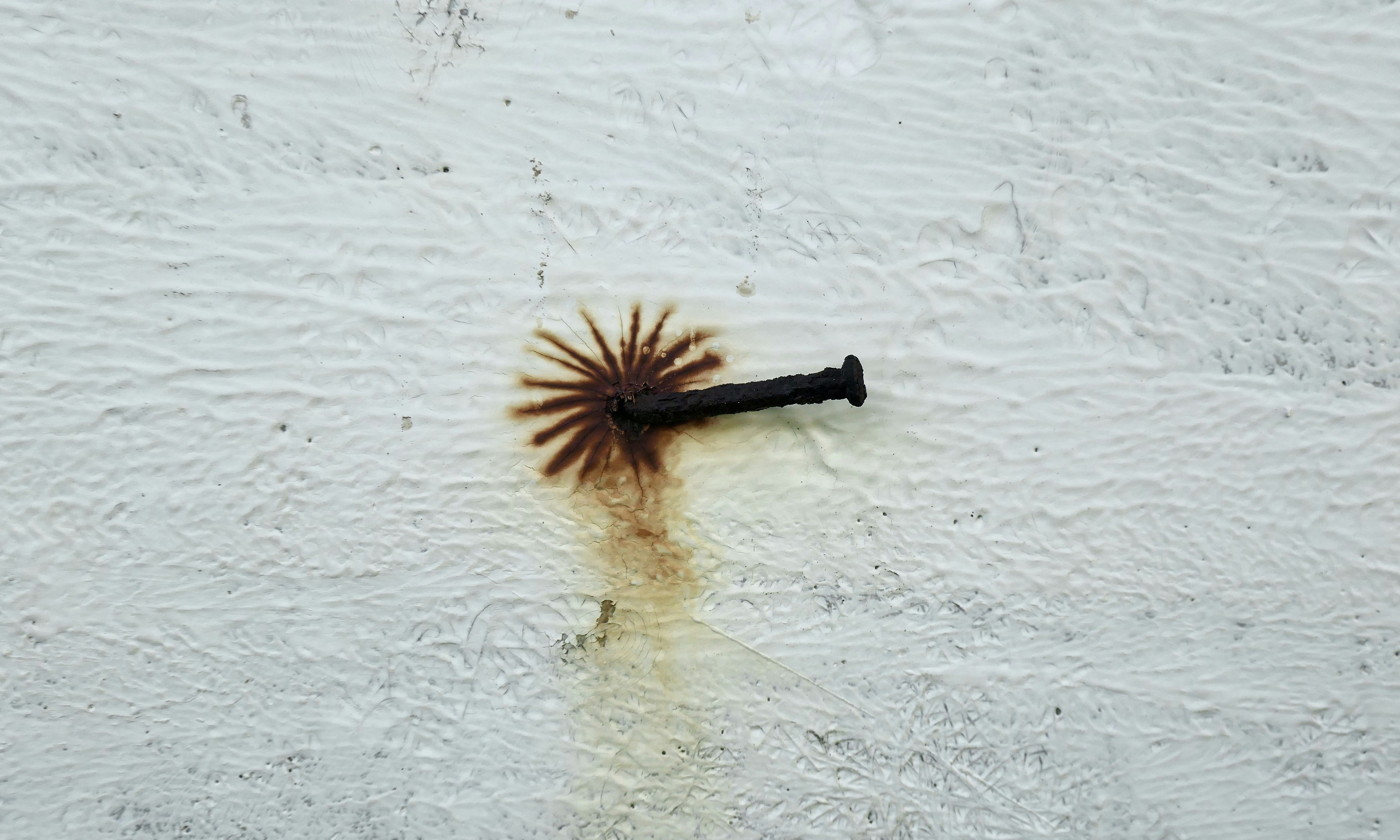 A rusted nail on the side of a white wall photo – Free Rust Image on ...