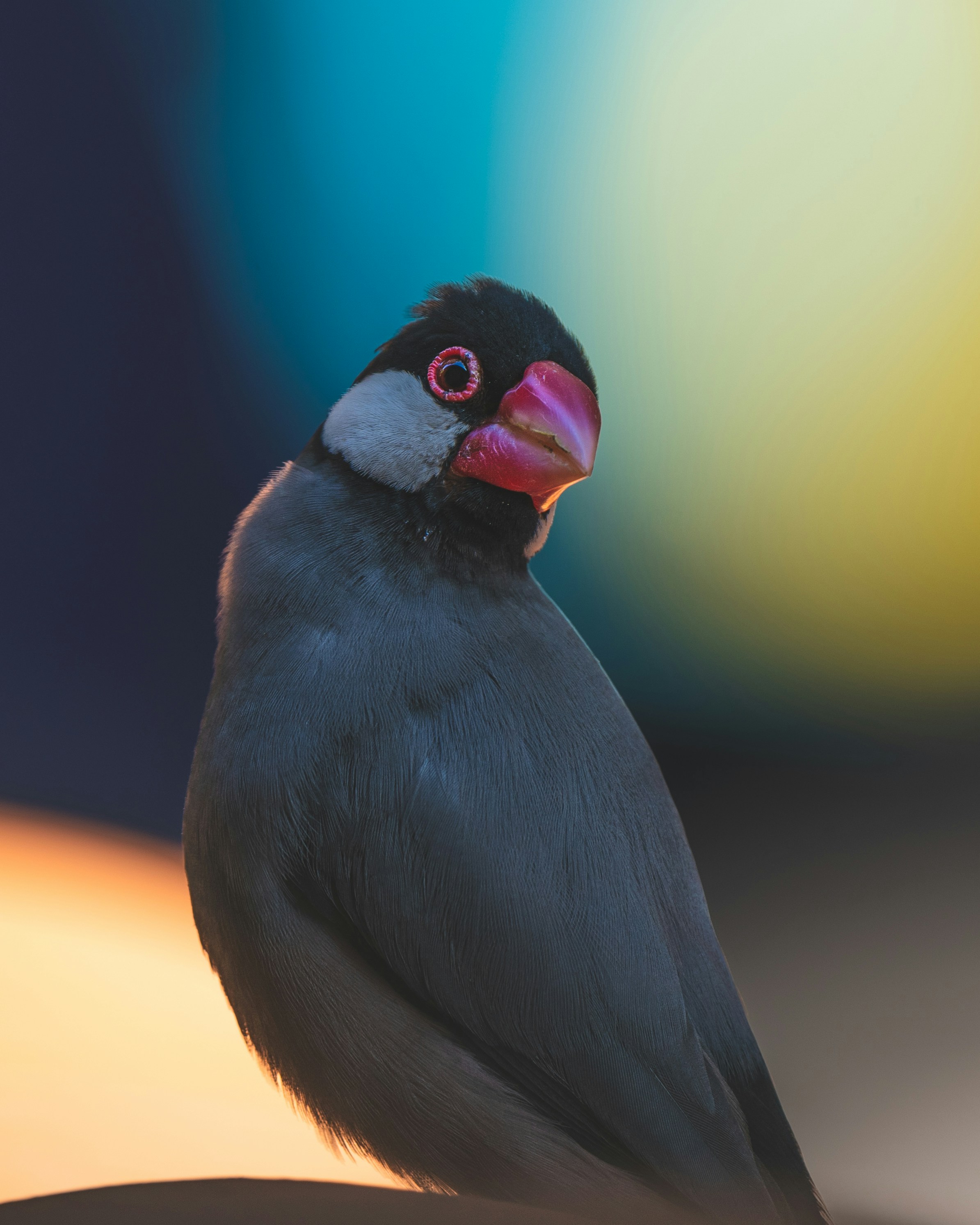 Photo by Y S with Sony Alpha 7 III