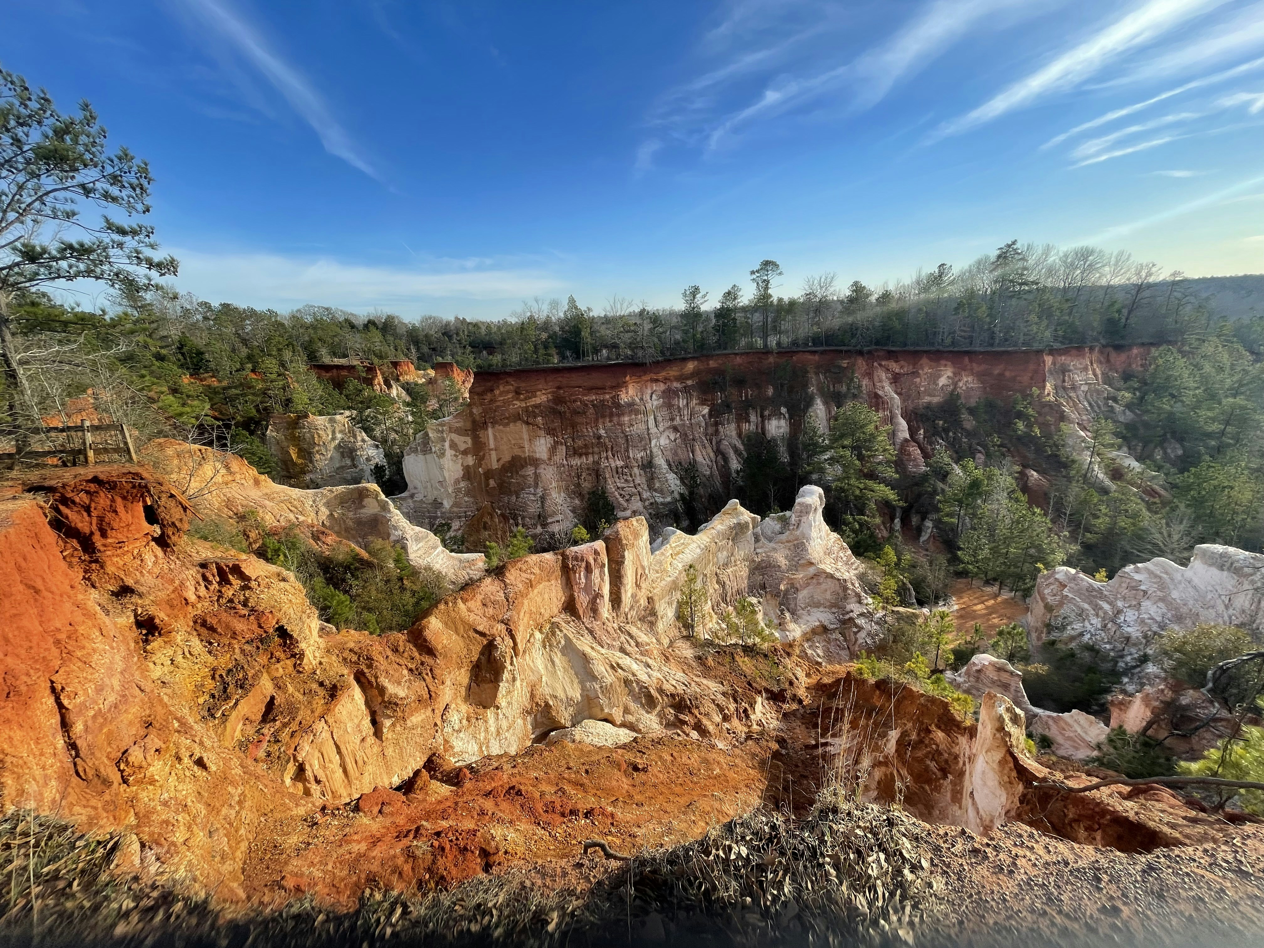 Vibrant landscape showcasing a canyon with layered rock formations and lush greenery. The scene captures the intricate textures and colors of natural erosion.