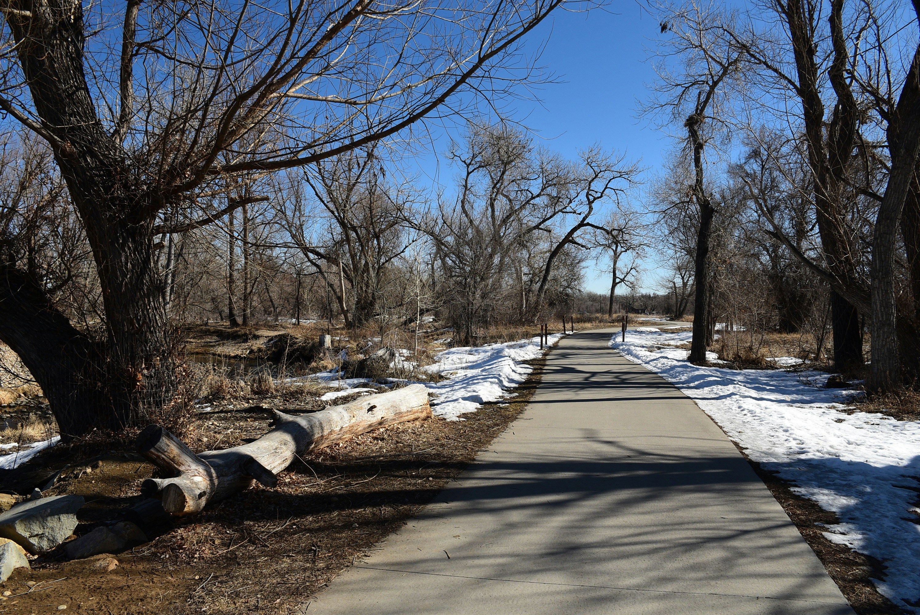 A path in the middle of a snow covered park photo – Free Wheat ridge ...
