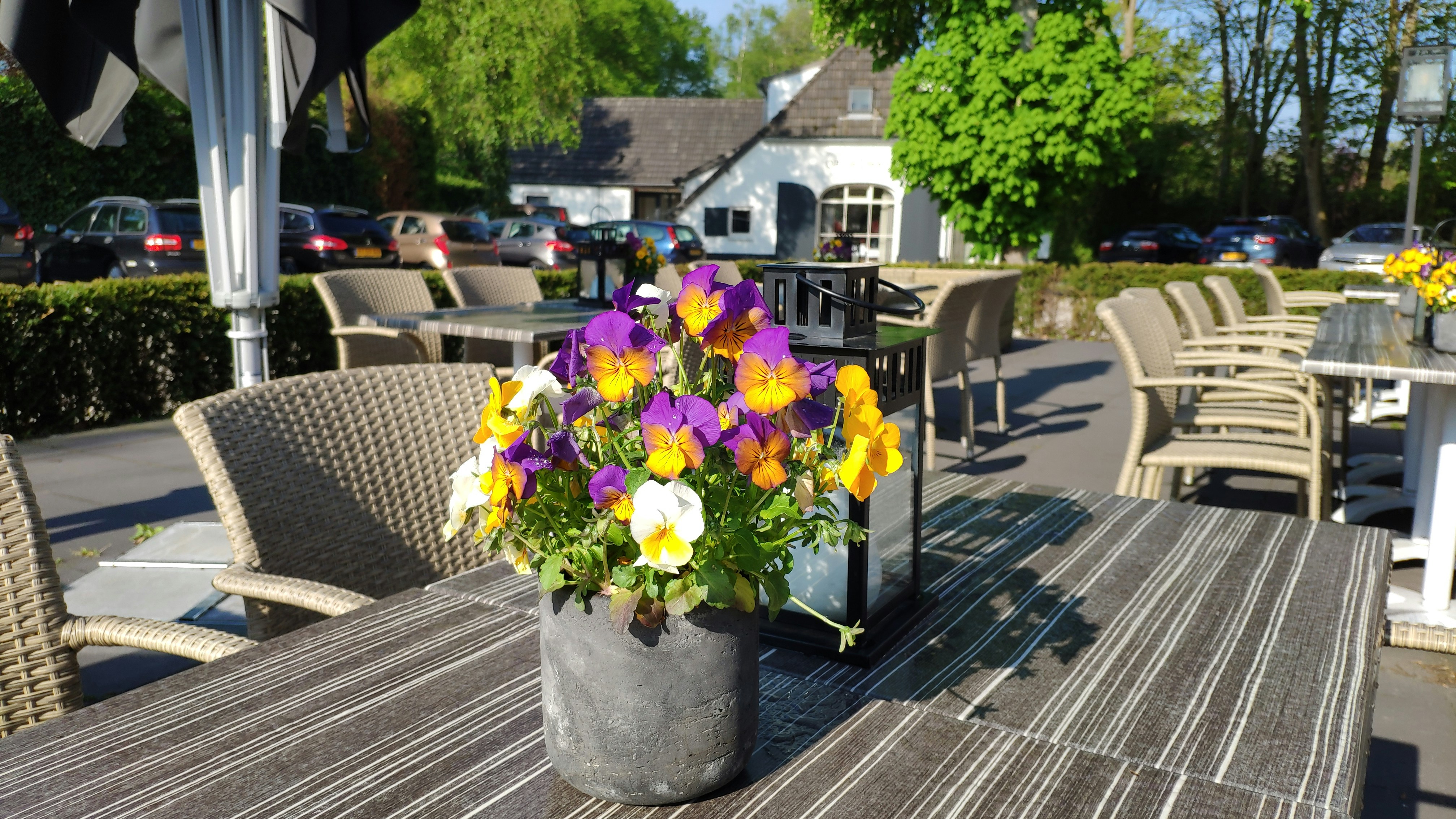 Terrace Table Bouquet in Spring Light
