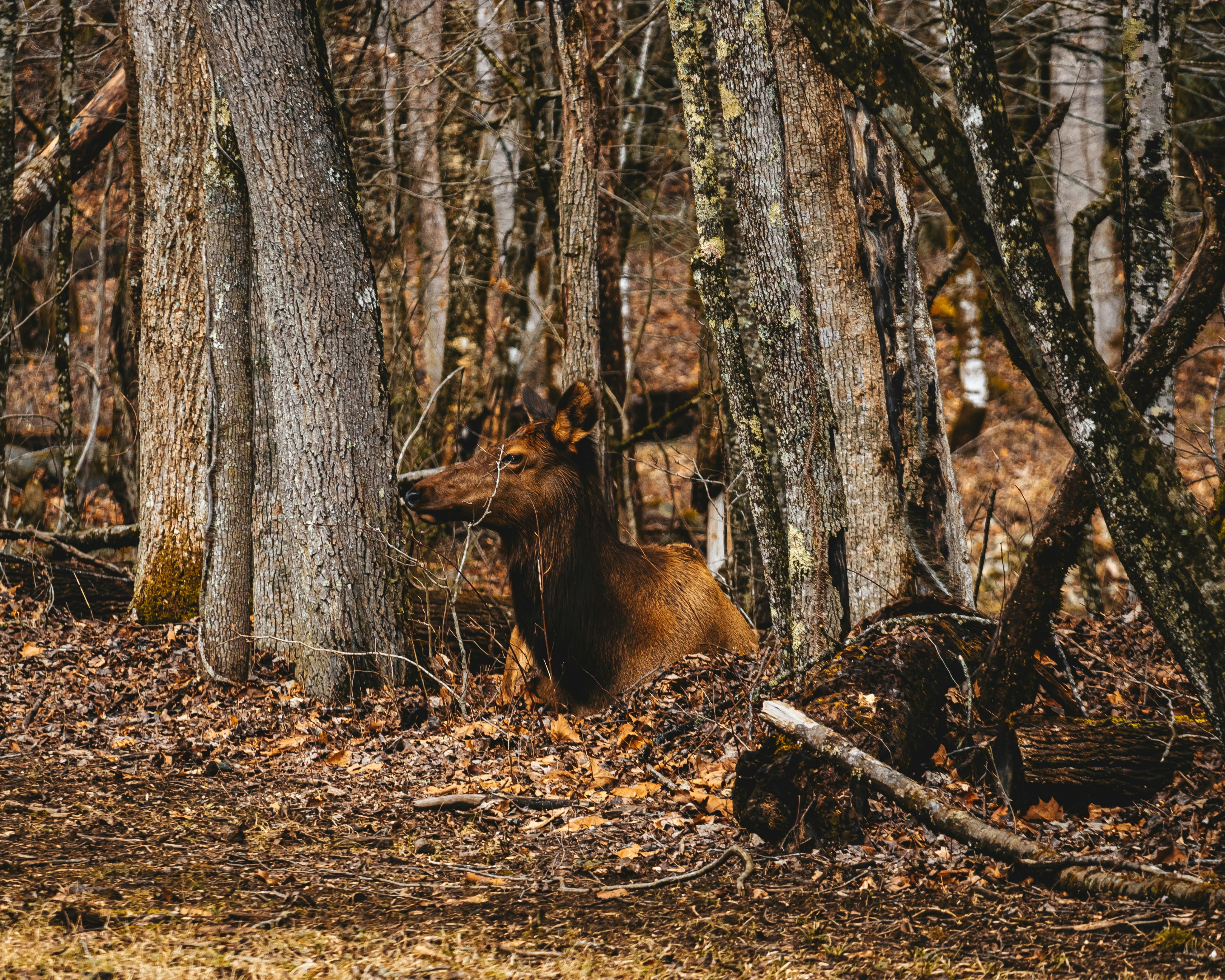 Photo by Brice Cooper with Canon EOS 250D