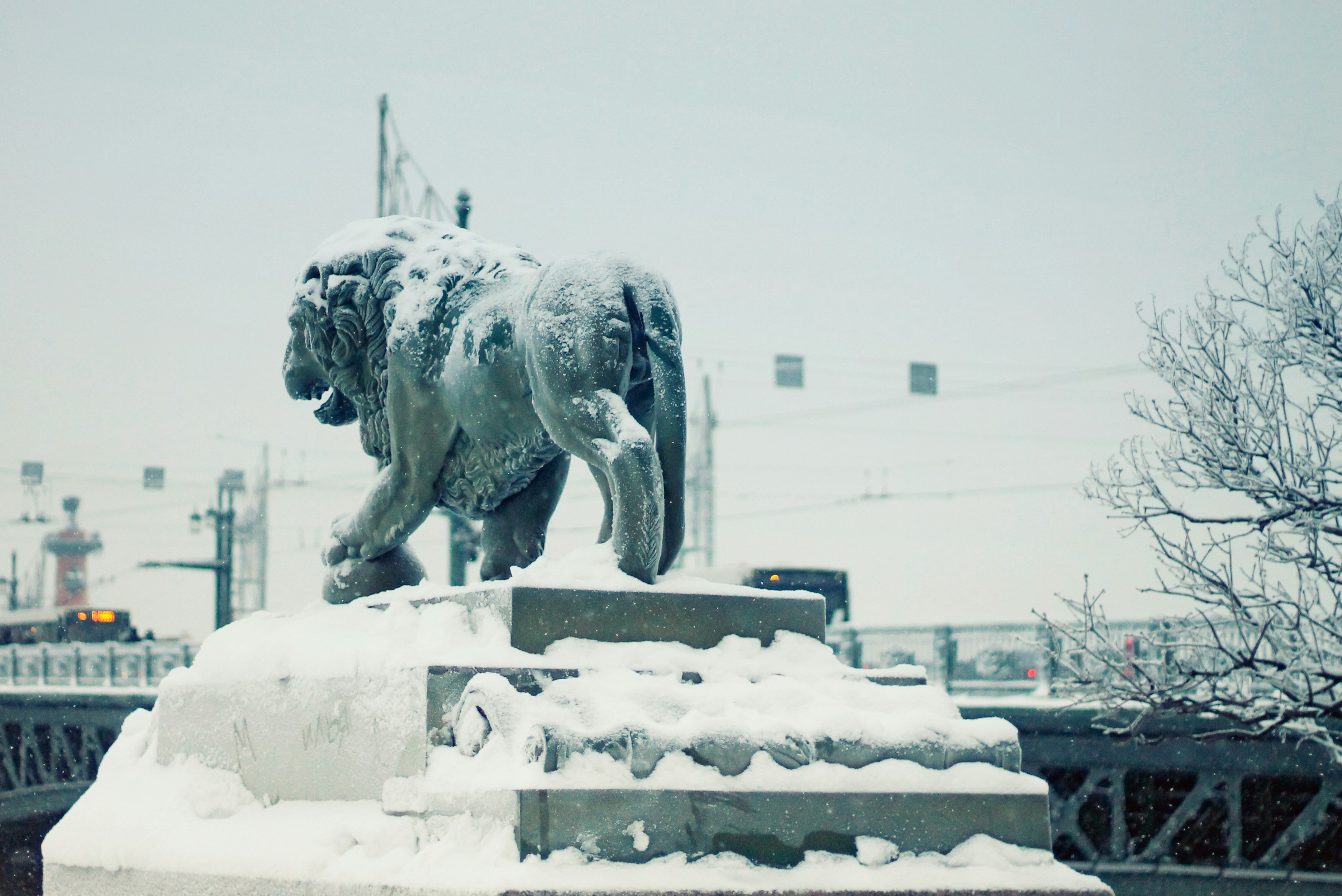 Snowbound Guardian: A Lion Statue Quietly Watches Over a Frigid City