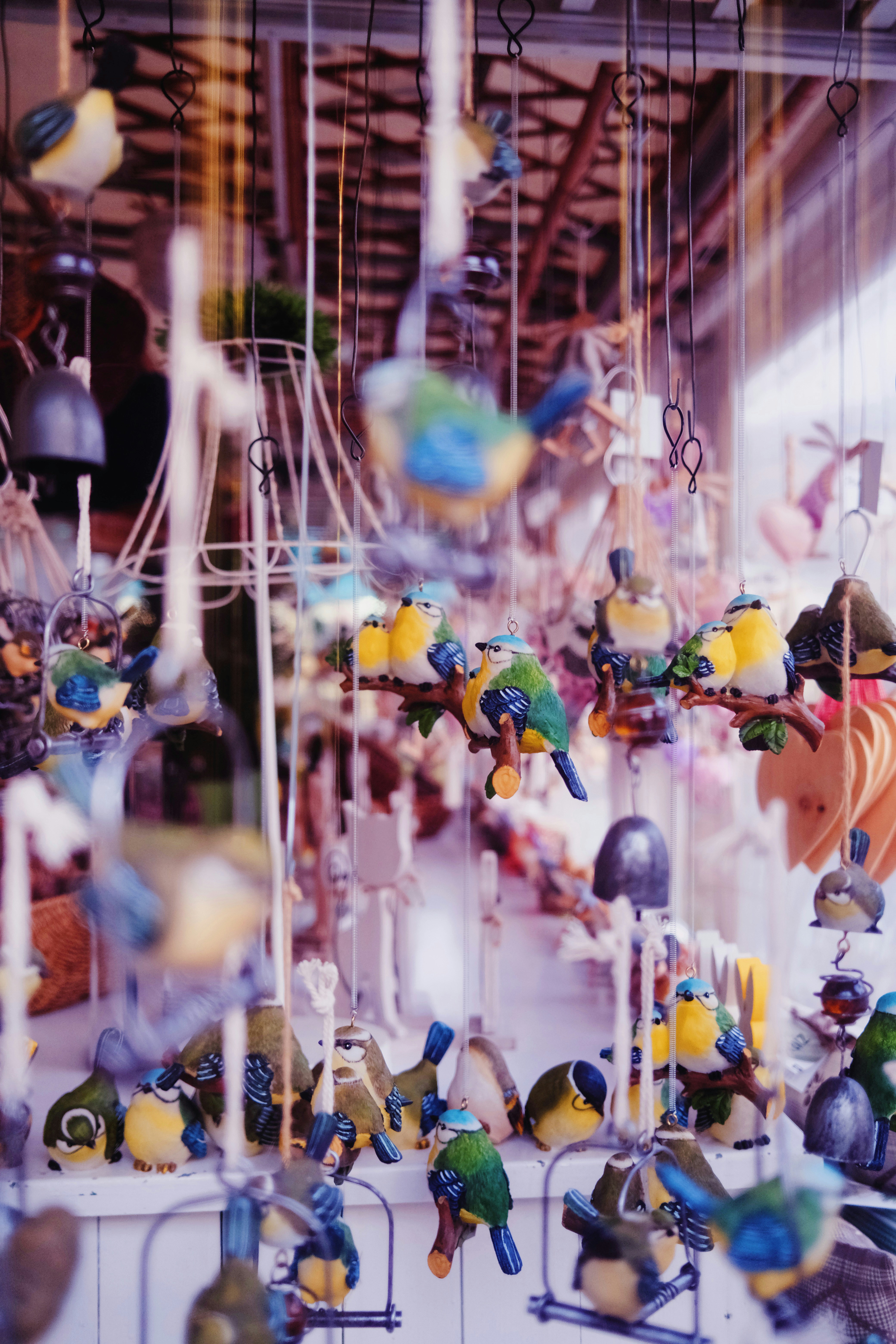 Tassels of Tiny Parrots: A Market Stall Chiming with Color