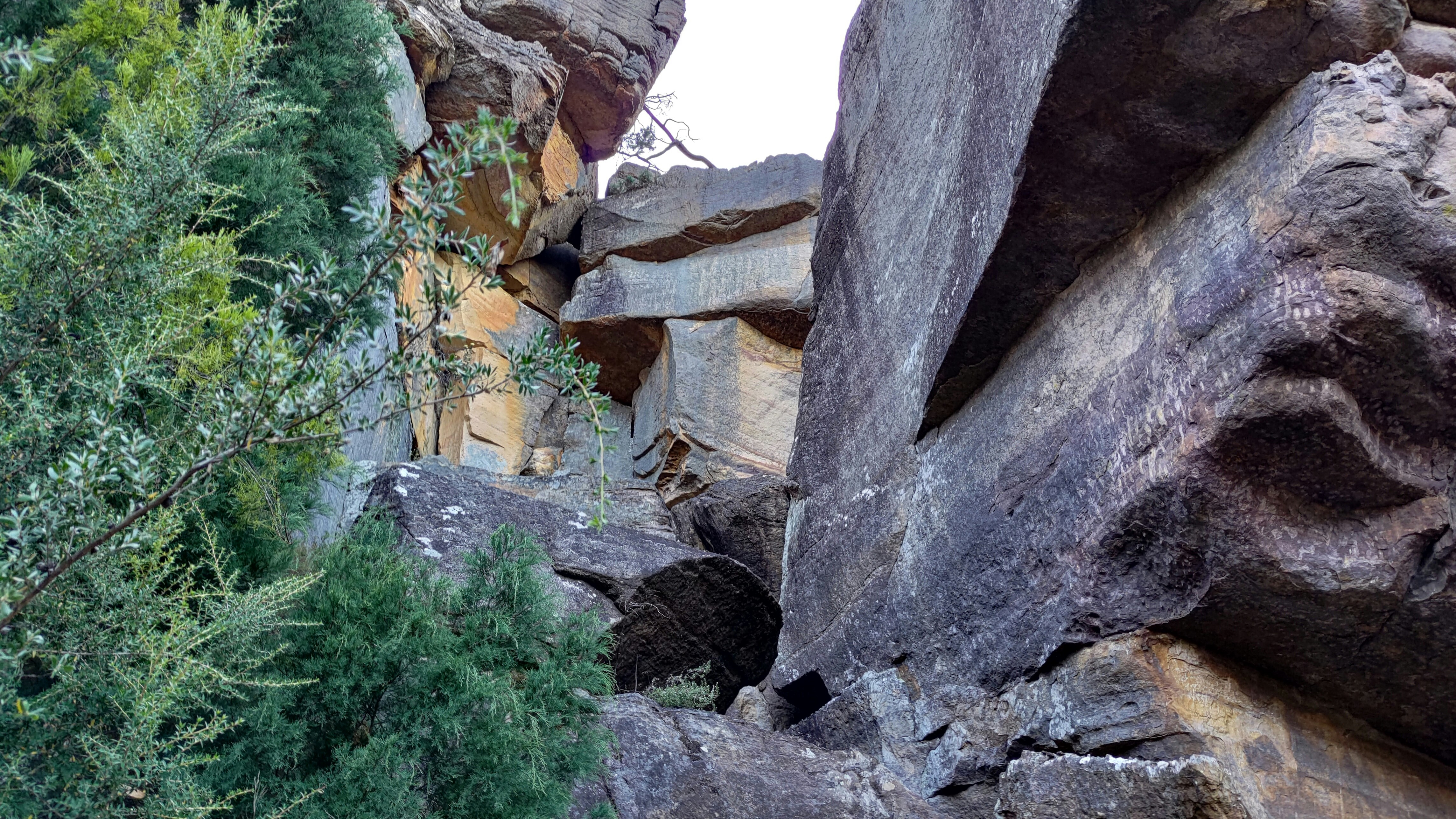 Jagged rock formations surrounded by lush greenery, highlighting the interplay of nature and geology.
