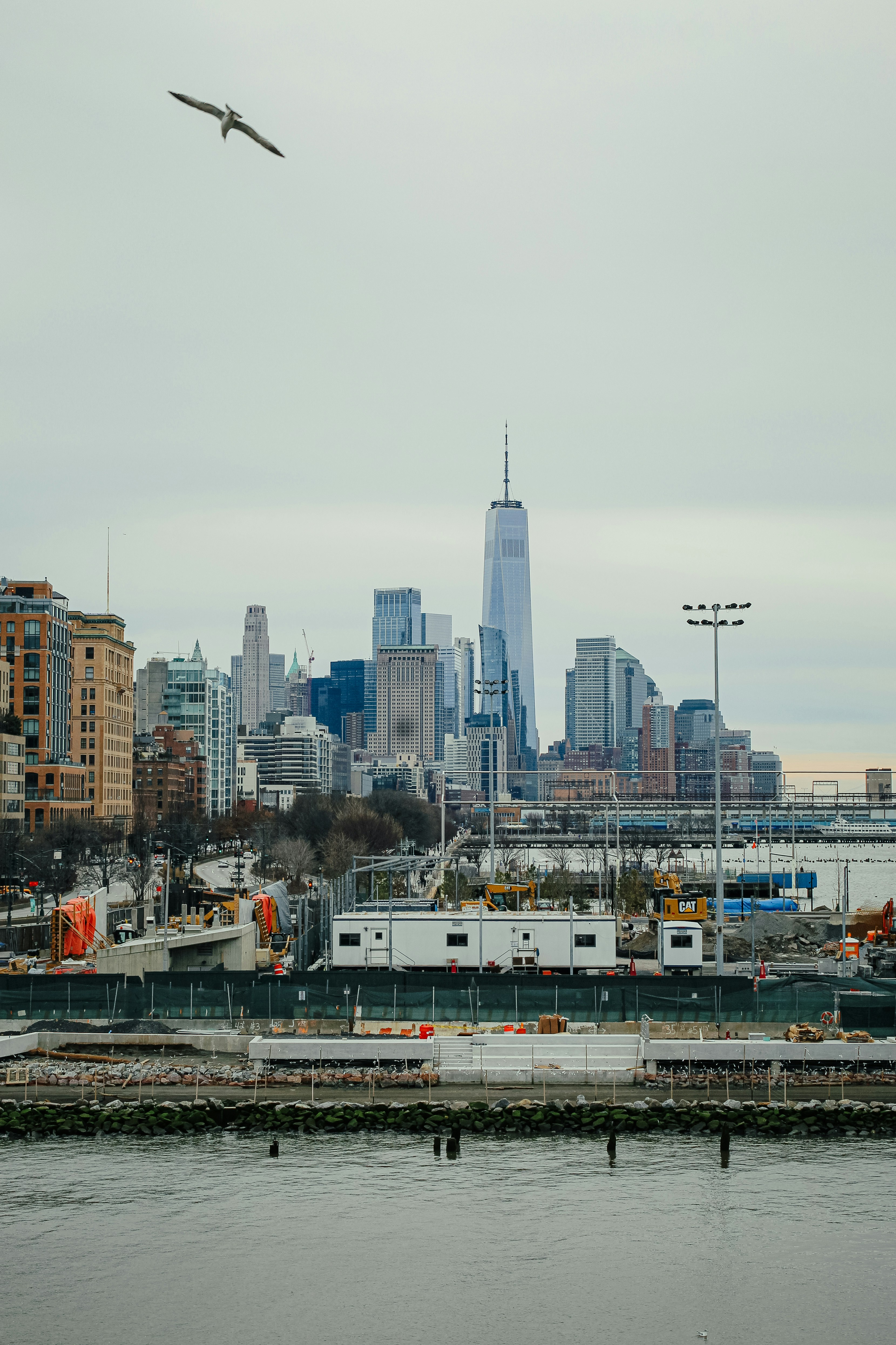 Low Tide Skyline: Construction Along the Waterfront with a Distant Seagull