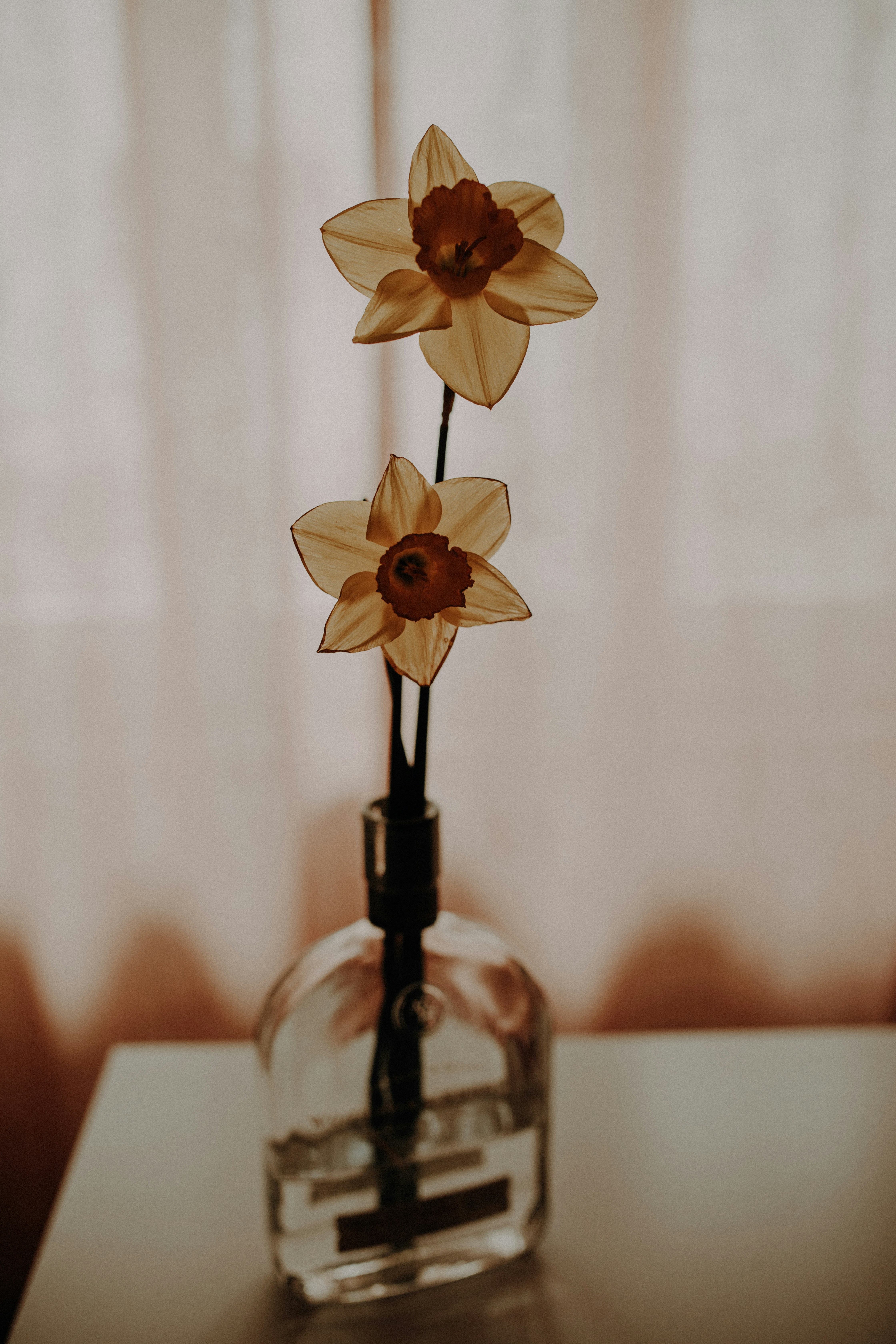 a glass vase with flowers in it on a table