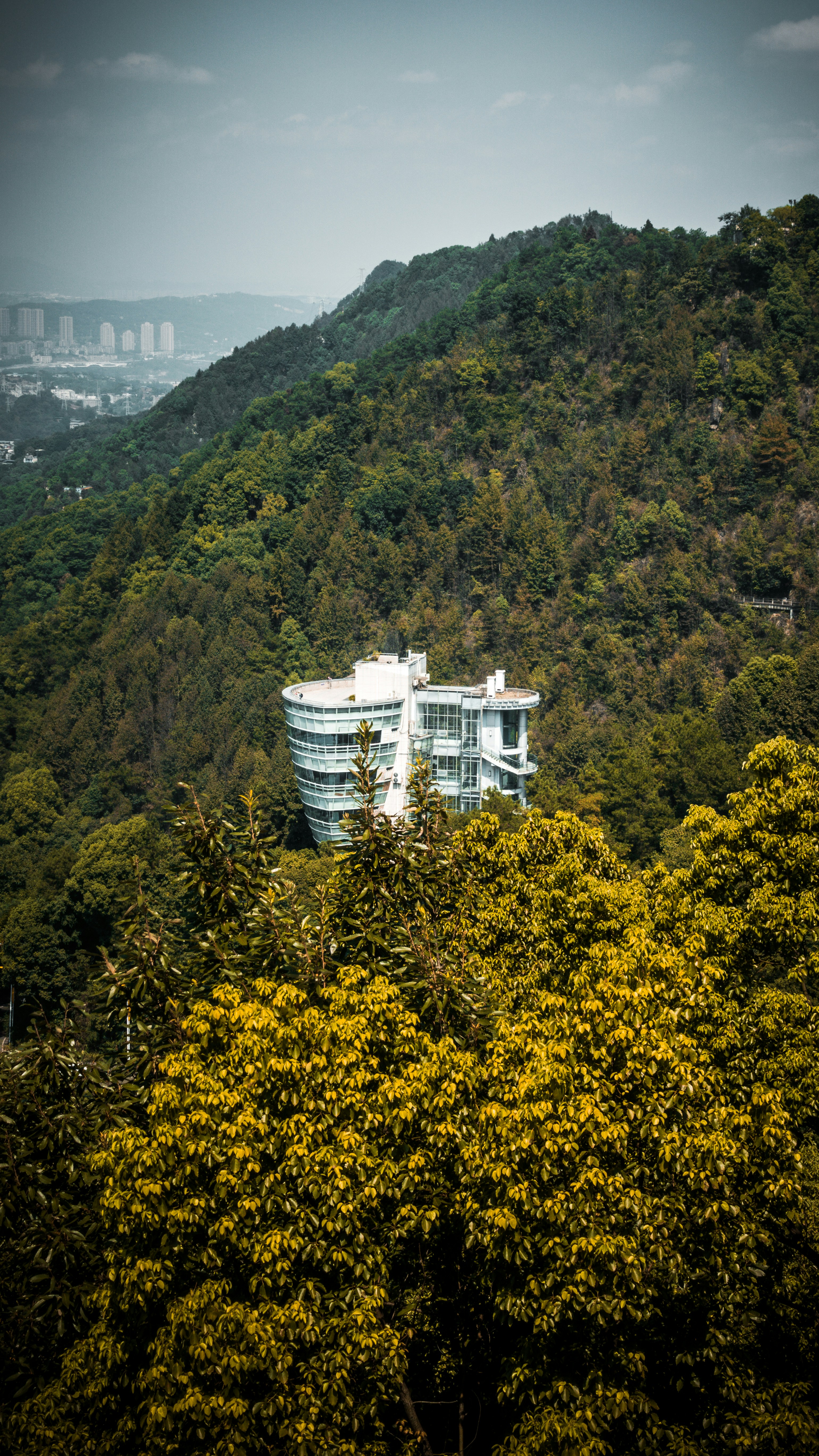 a tall building sitting on top of a lush green hillside